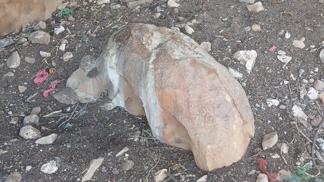 Is this a Fossil Skull or a Pseudofossil? - Found in Somalia - Fossil ...