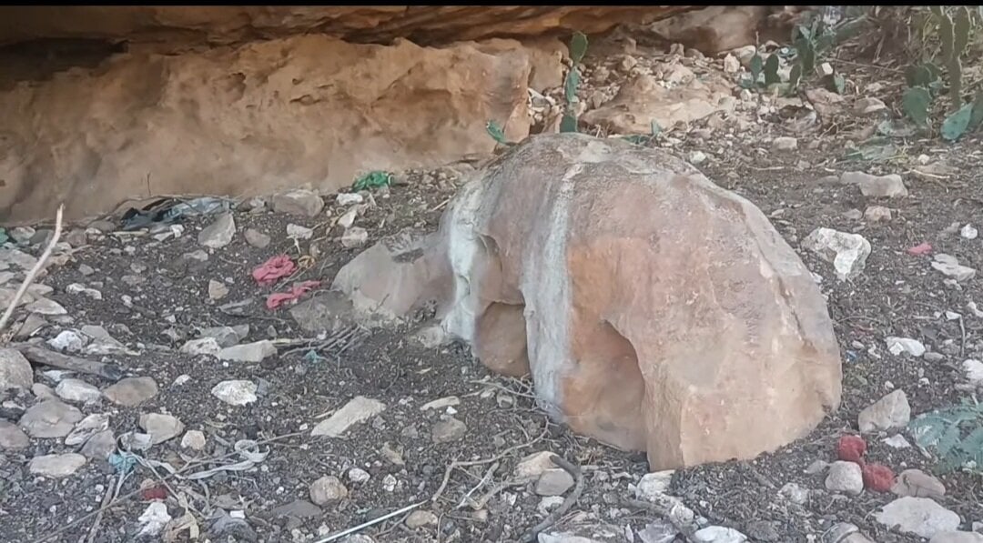 Is this a Fossil Skull or a Pseudofossil? - Found in Somalia - Fossil ...