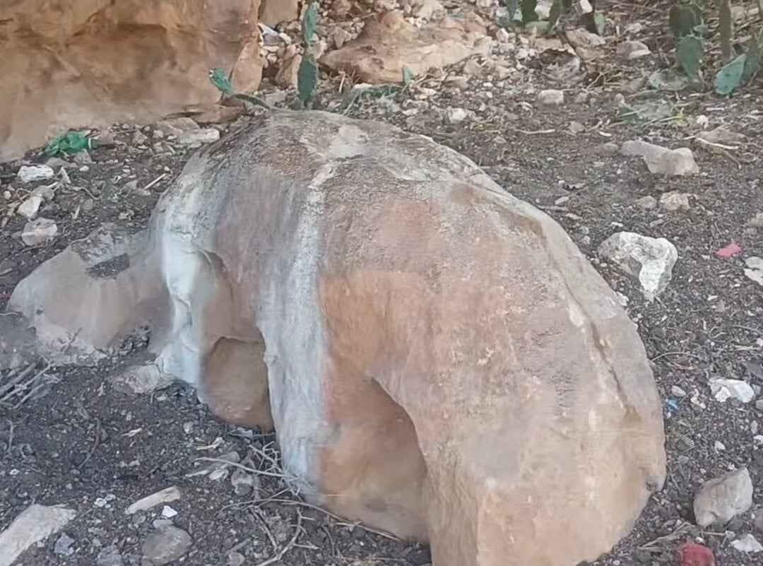 Is this a Fossil Skull or a Pseudofossil? - Found in Somalia - Fossil ...