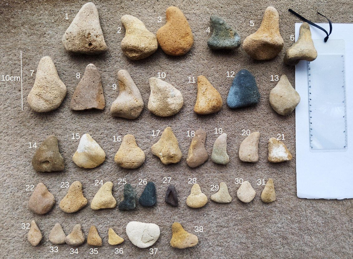 rocks or fossils? - Fossil ID - The Fossil Forum