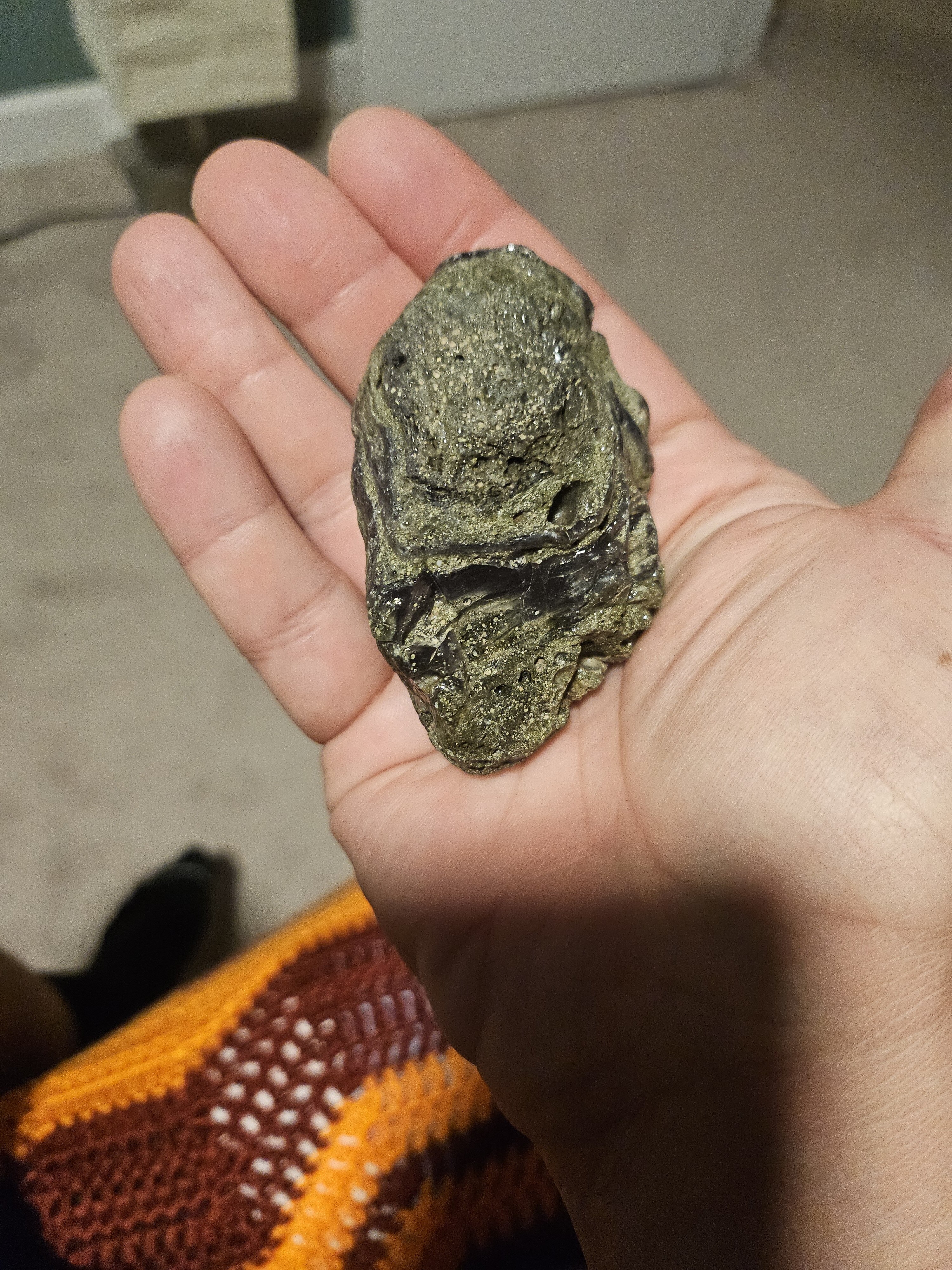 Fossils in chert? - Fossil ID - The Fossil Forum