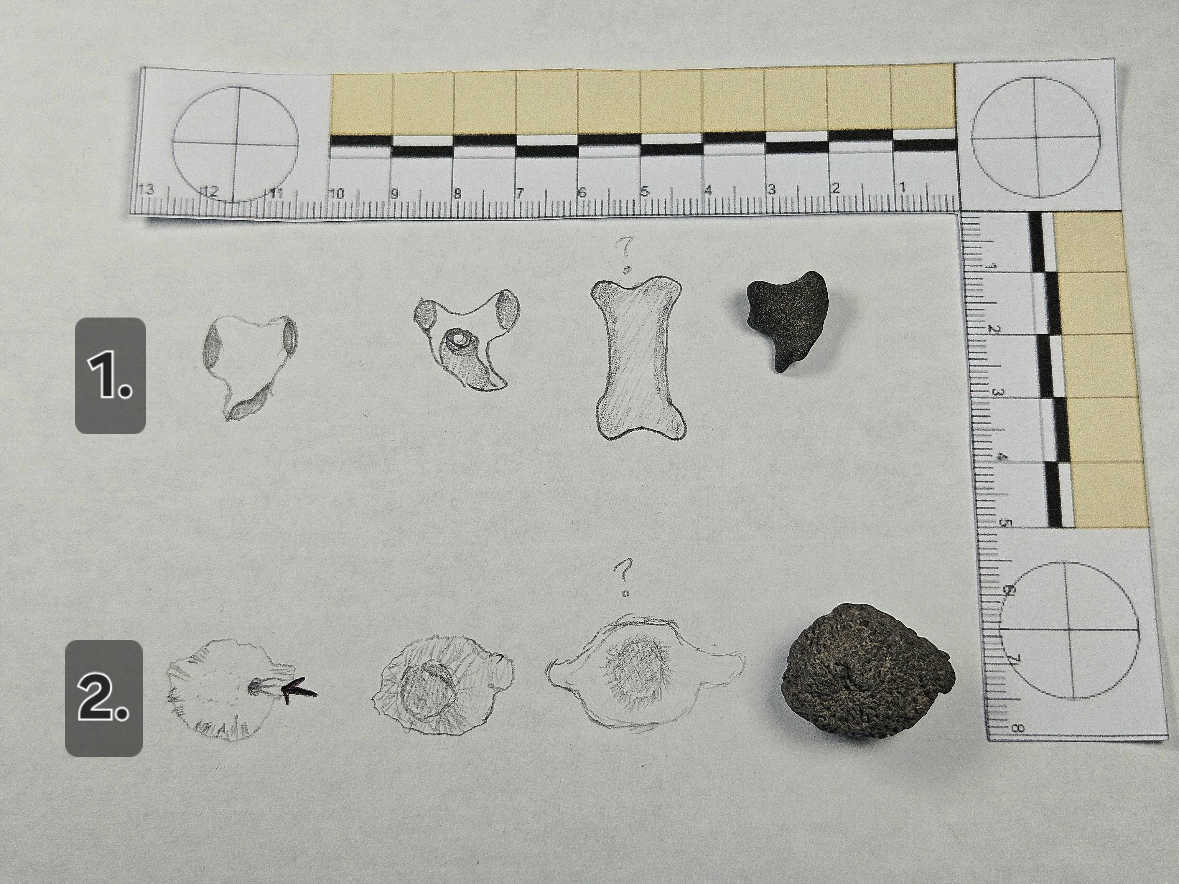 (Unresolved) Help identifying 2 bone fragments from Les Vaches Noires ...