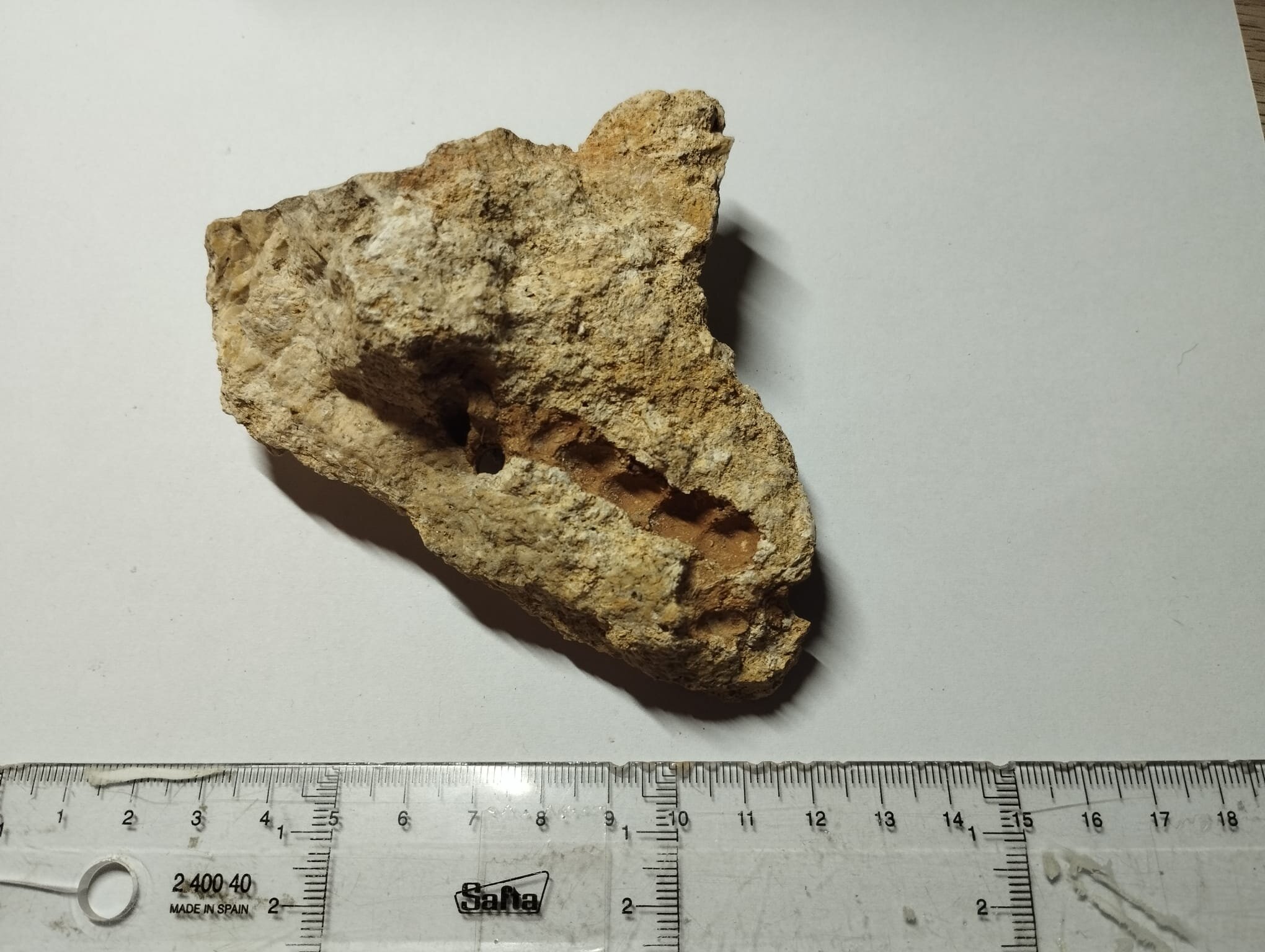 Fossil or just a rock? - Fossil ID - The Fossil Forum
