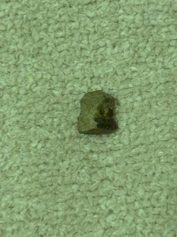 Tyrannosaurus Rex bone fragment from Lance Formation Wyoming - Member ...