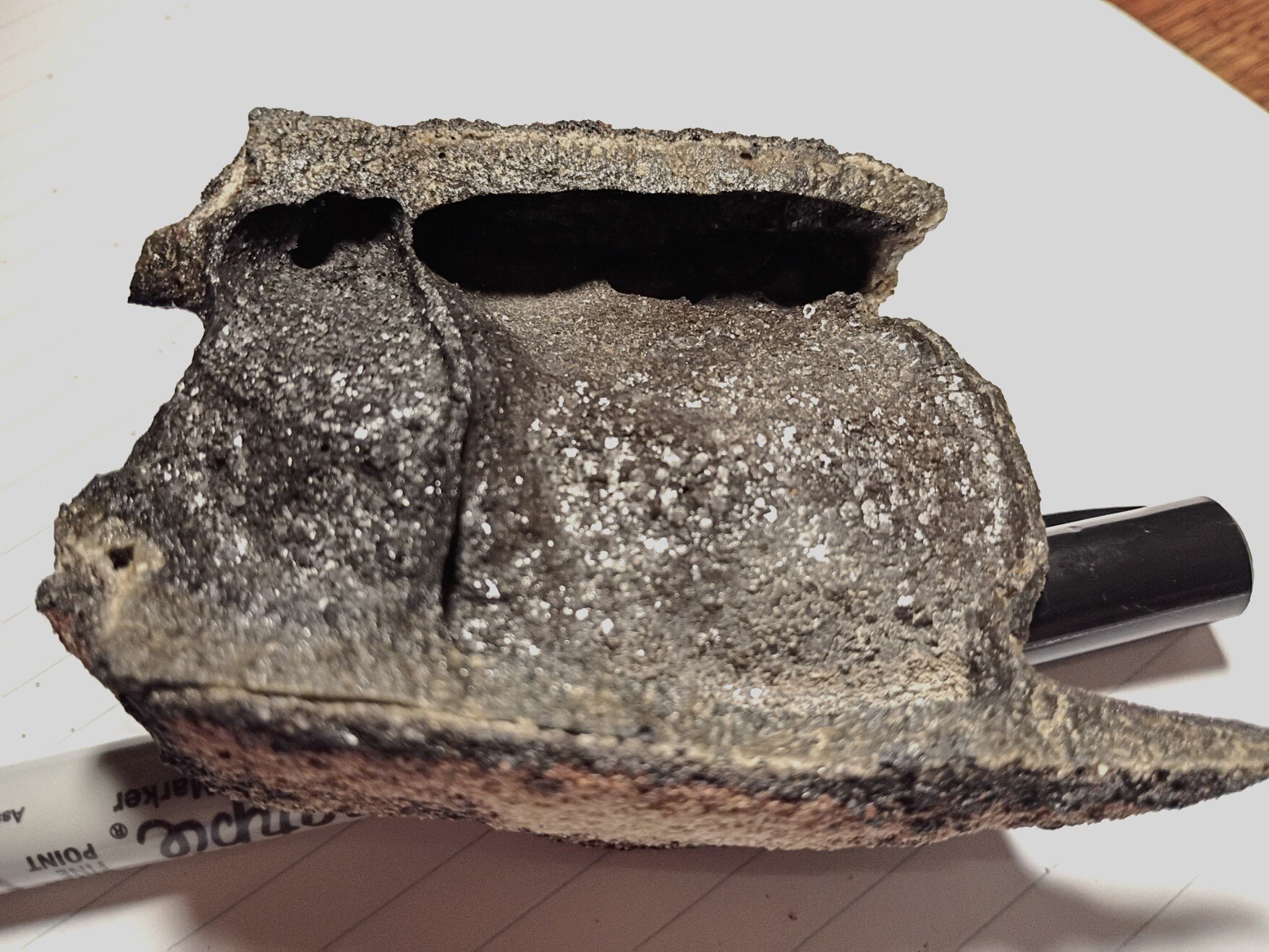 Maybe a ray or skate egg sac fossil? Can anyone help me identify ...