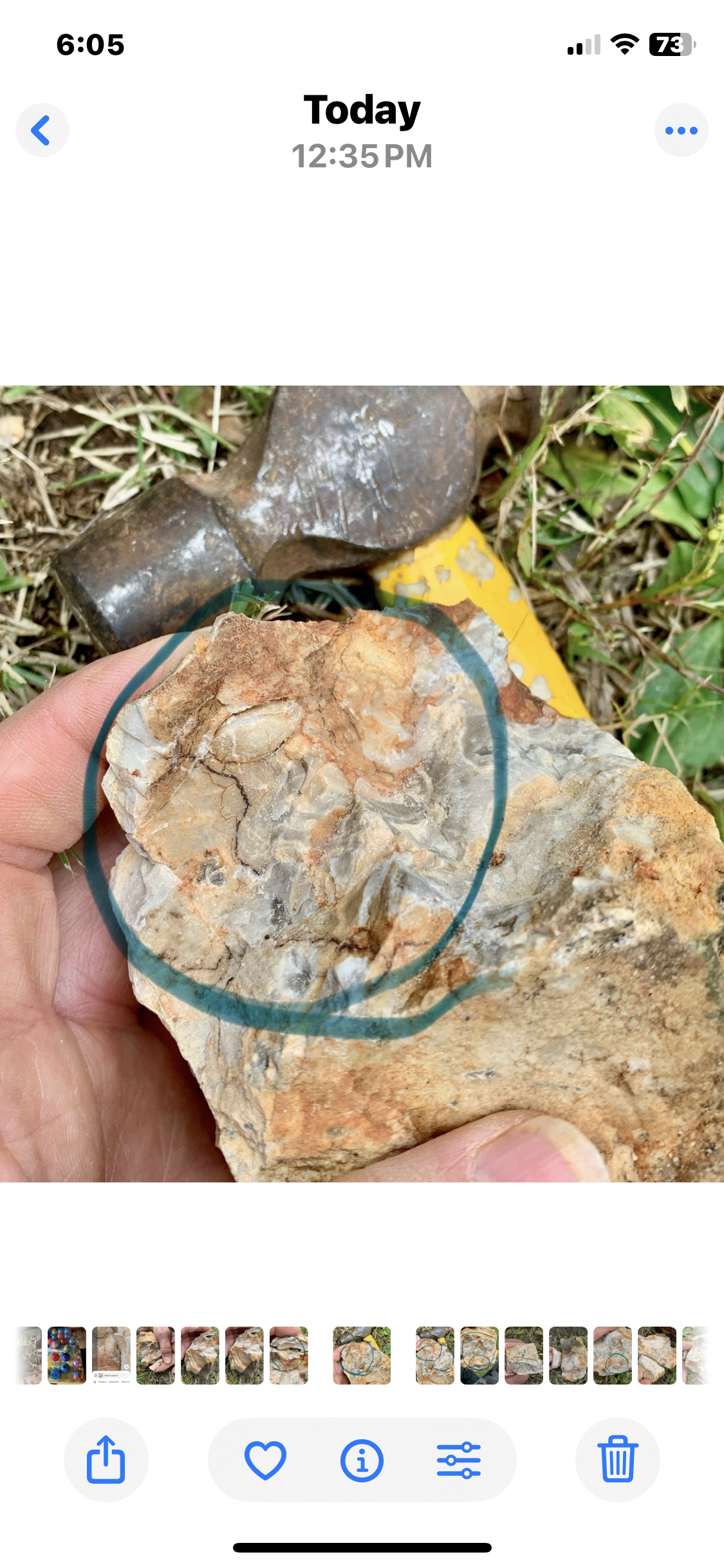 Fossil Seed? - Fossil ID - The Fossil Forum