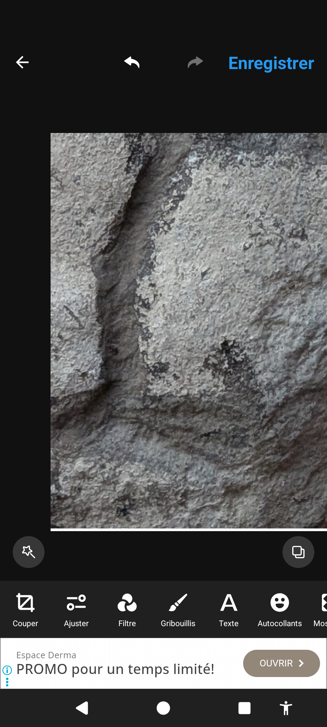 Crinoid and holdfast identification - Fossil ID - The Fossil Forum
