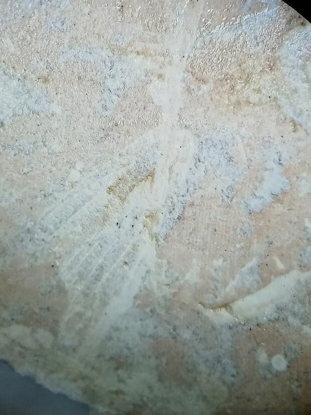 Davidicyathus racemiferus - Sponges - The Fossil Forum