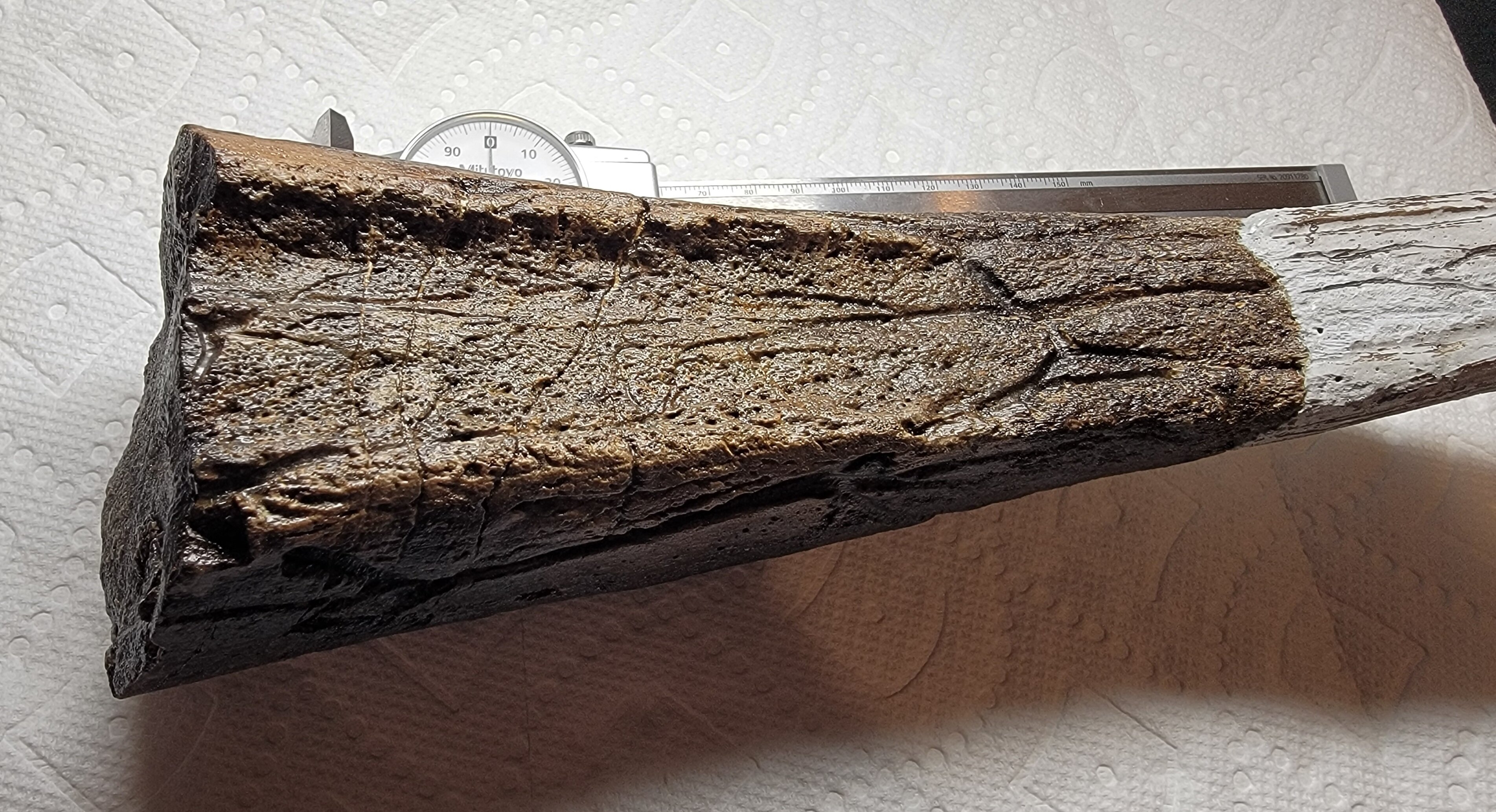 Ceratopsian Horn or Frill Spike? - Fossil ID - The Fossil Forum