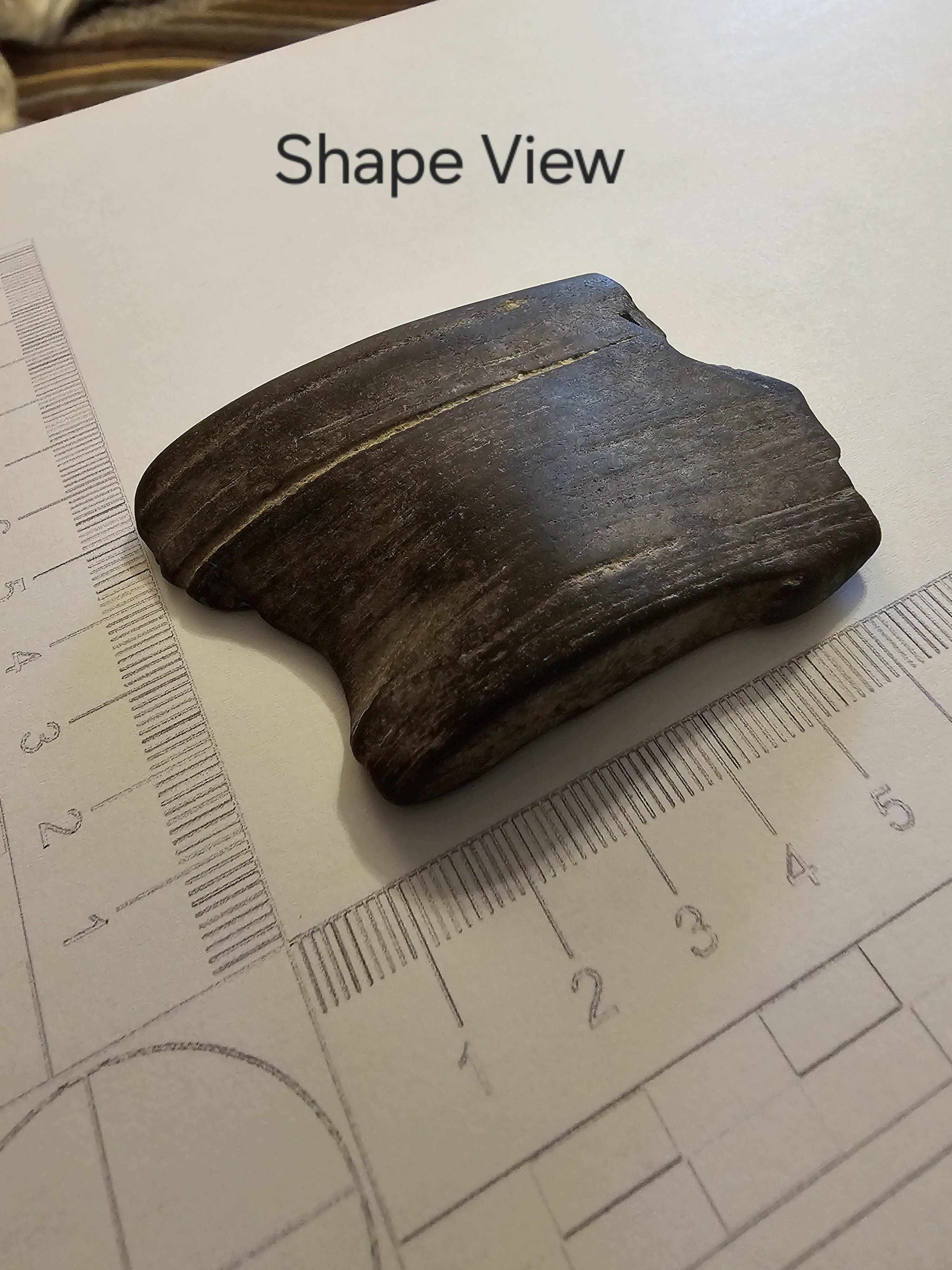 Possible Petrified Wood? - Sundre, Alberta - Fossil ID - The Fossil Forum