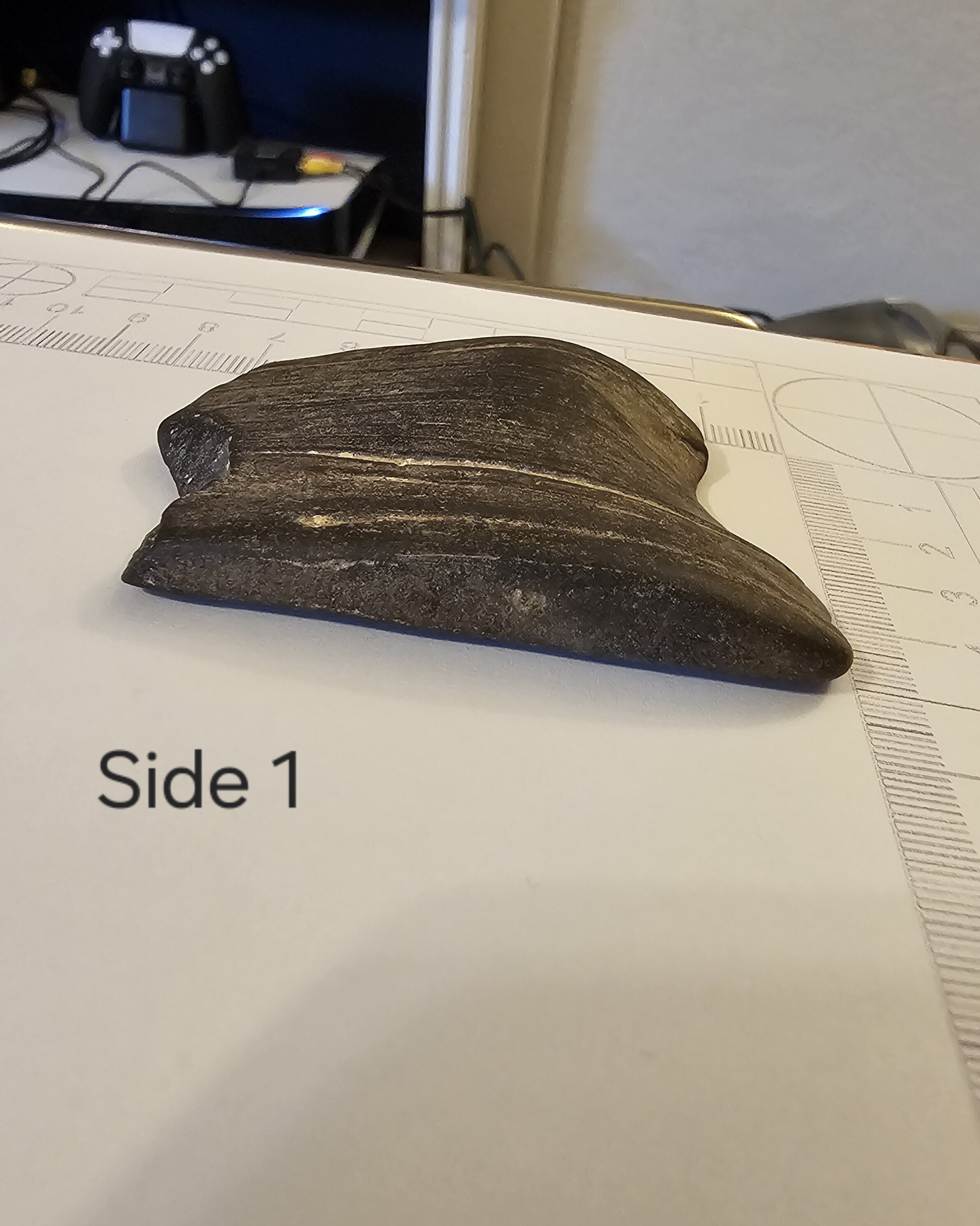 Possible Petrified Wood? - Sundre, Alberta - Fossil ID - The Fossil Forum