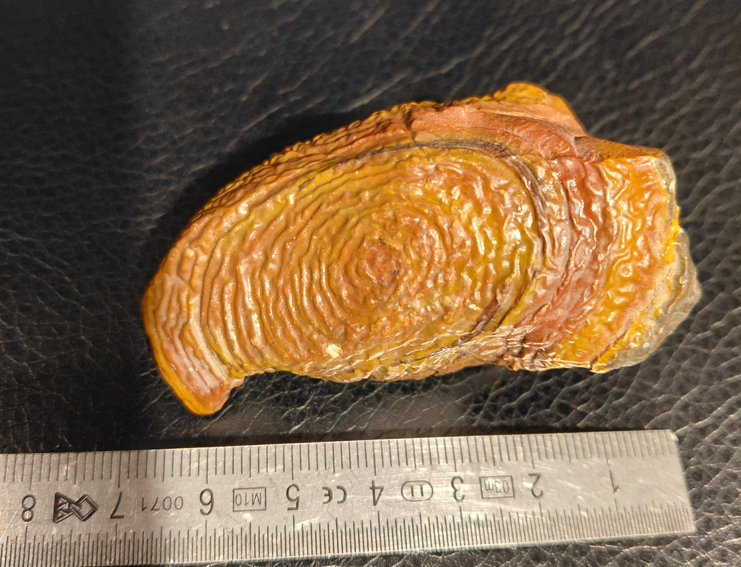 Fossil or mineral?what could it be? - Rocks & Minerals - The Fossil Forum