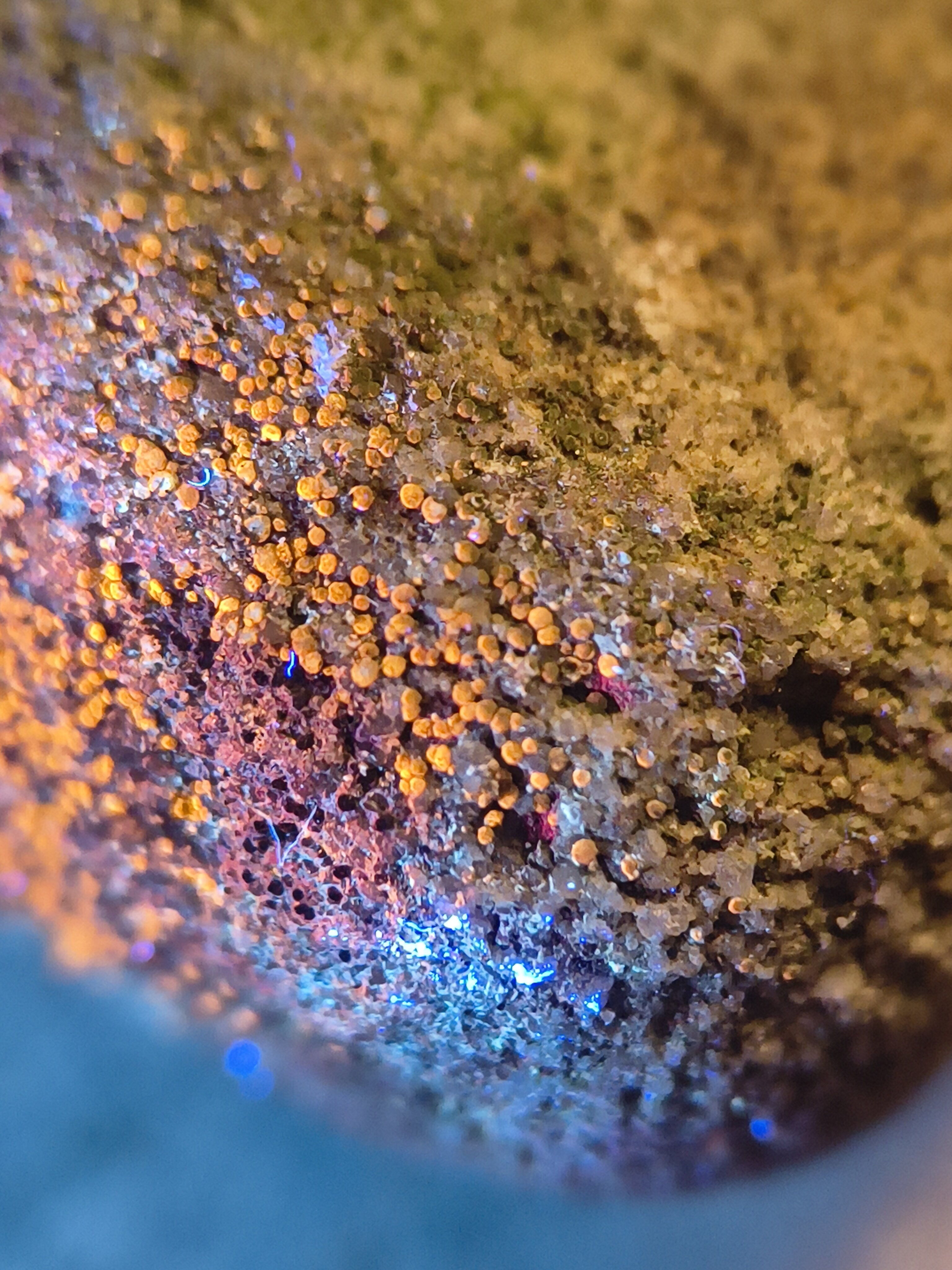 Various Fluorescence under UV - Rocks & Minerals - The Fossil Forum