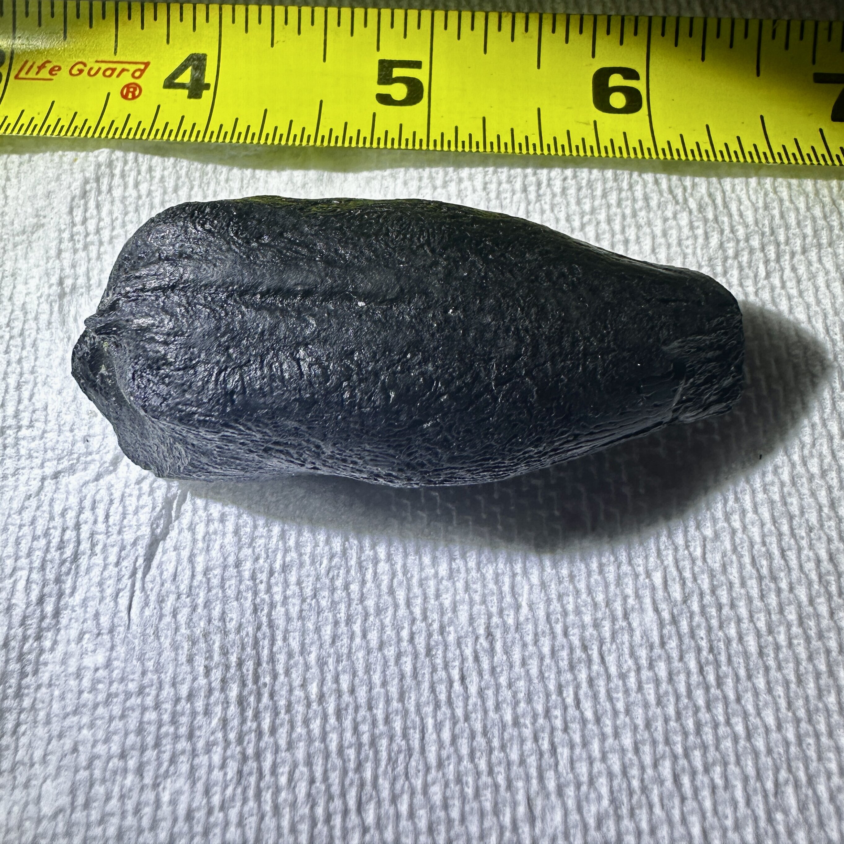 Suspect Fossilized Palm Seed pod - Fossil ID - The Fossil Forum
