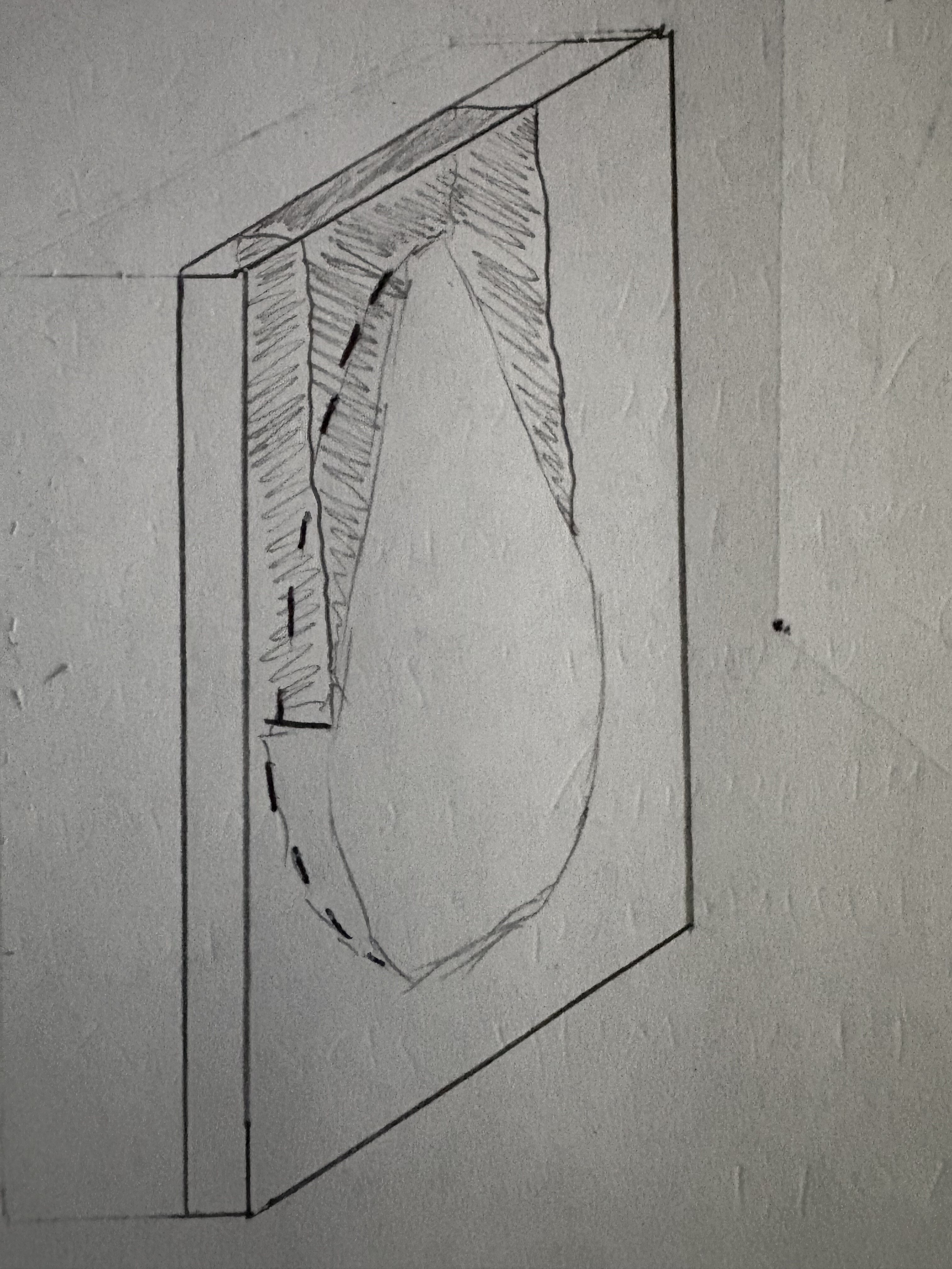 Halisaurus Specimen Preparation - Fossil Preparation - The Fossil Forum