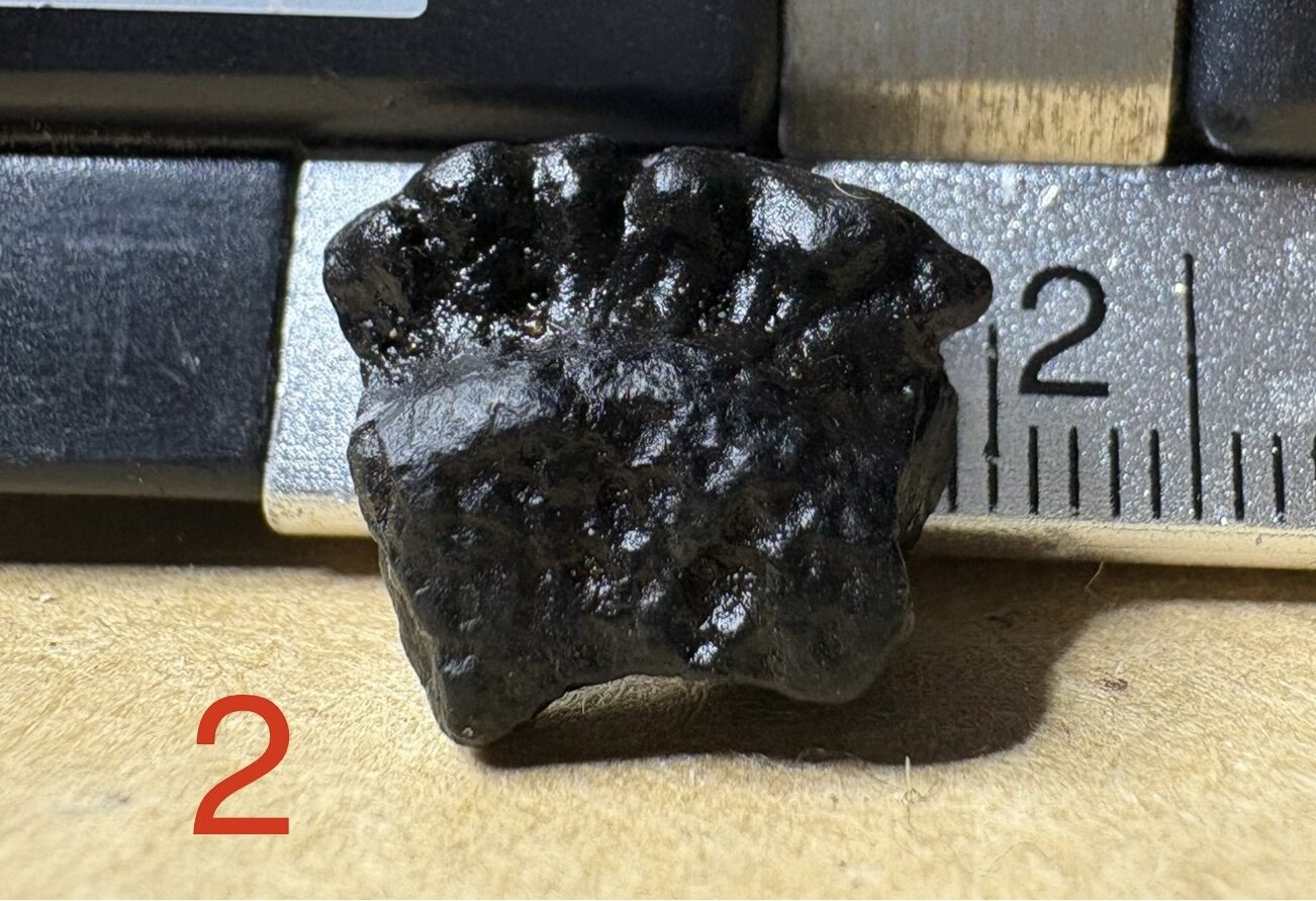 My first ID post! From North Florida, Santa Fe River - Fossil ID - The ...