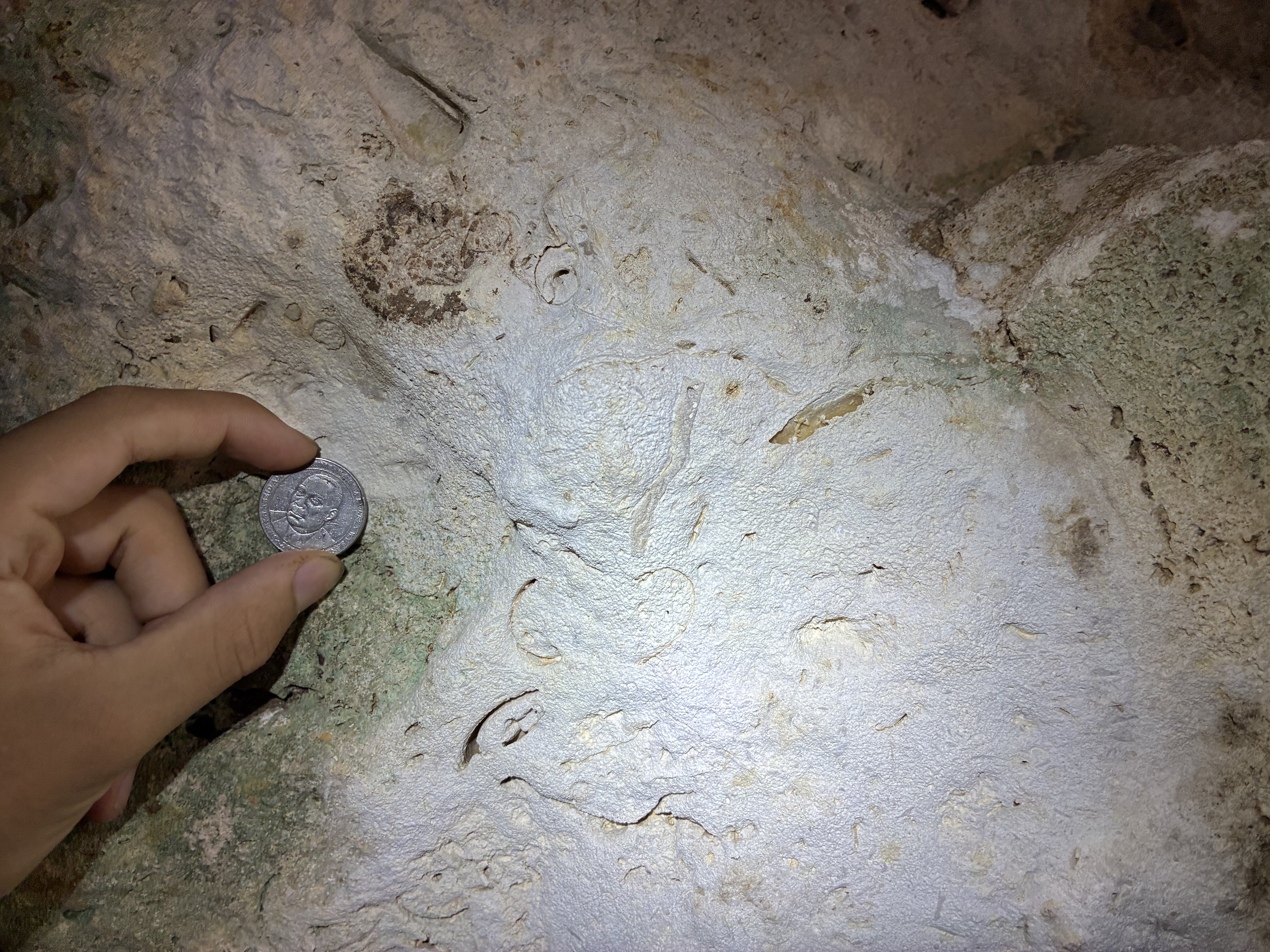 Dissolutional Feature? E. African Limestone Cave - Geology - The Fossil ...