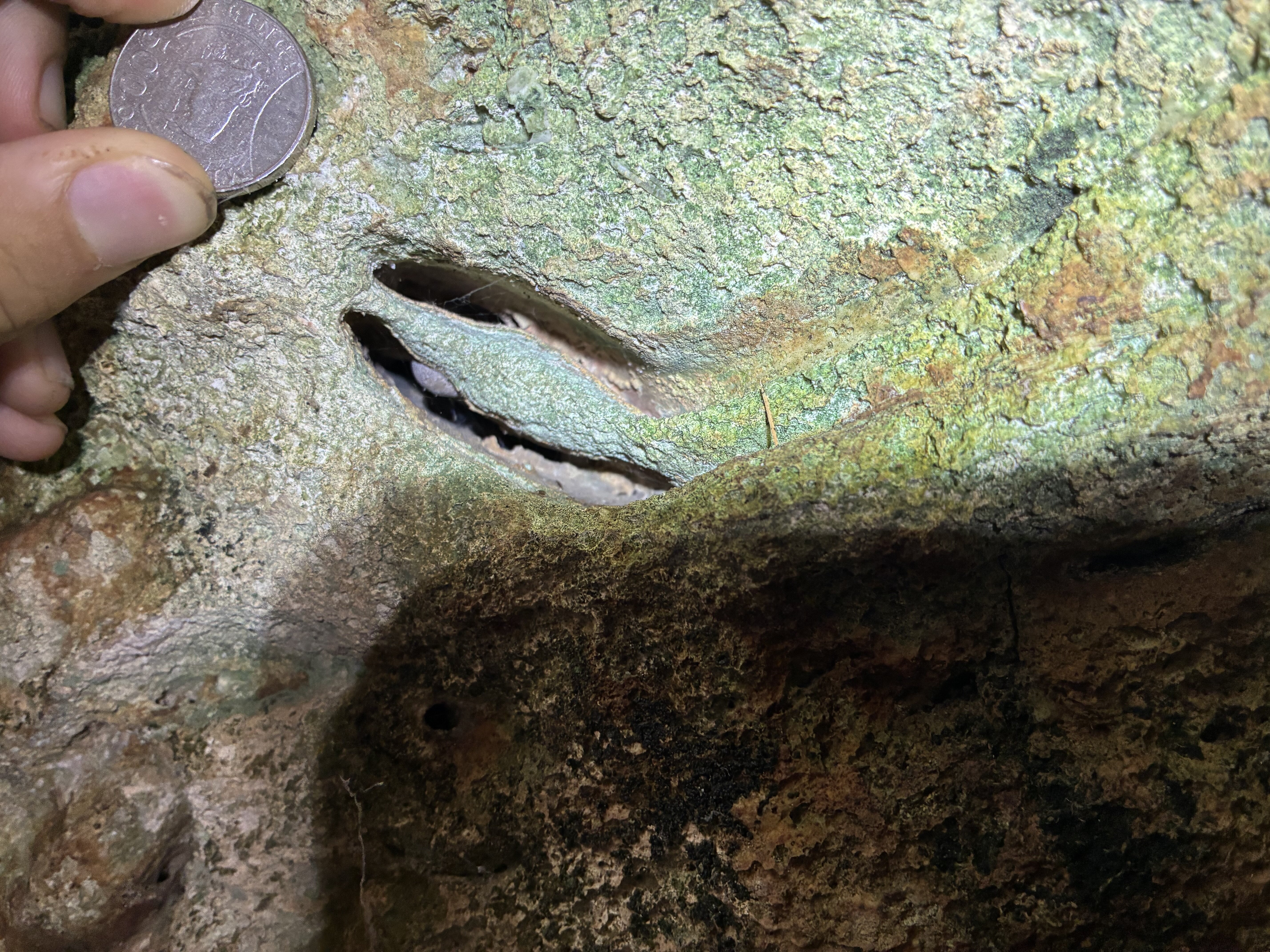 Dissolutional Feature? E. African Limestone Cave - Geology - The Fossil ...
