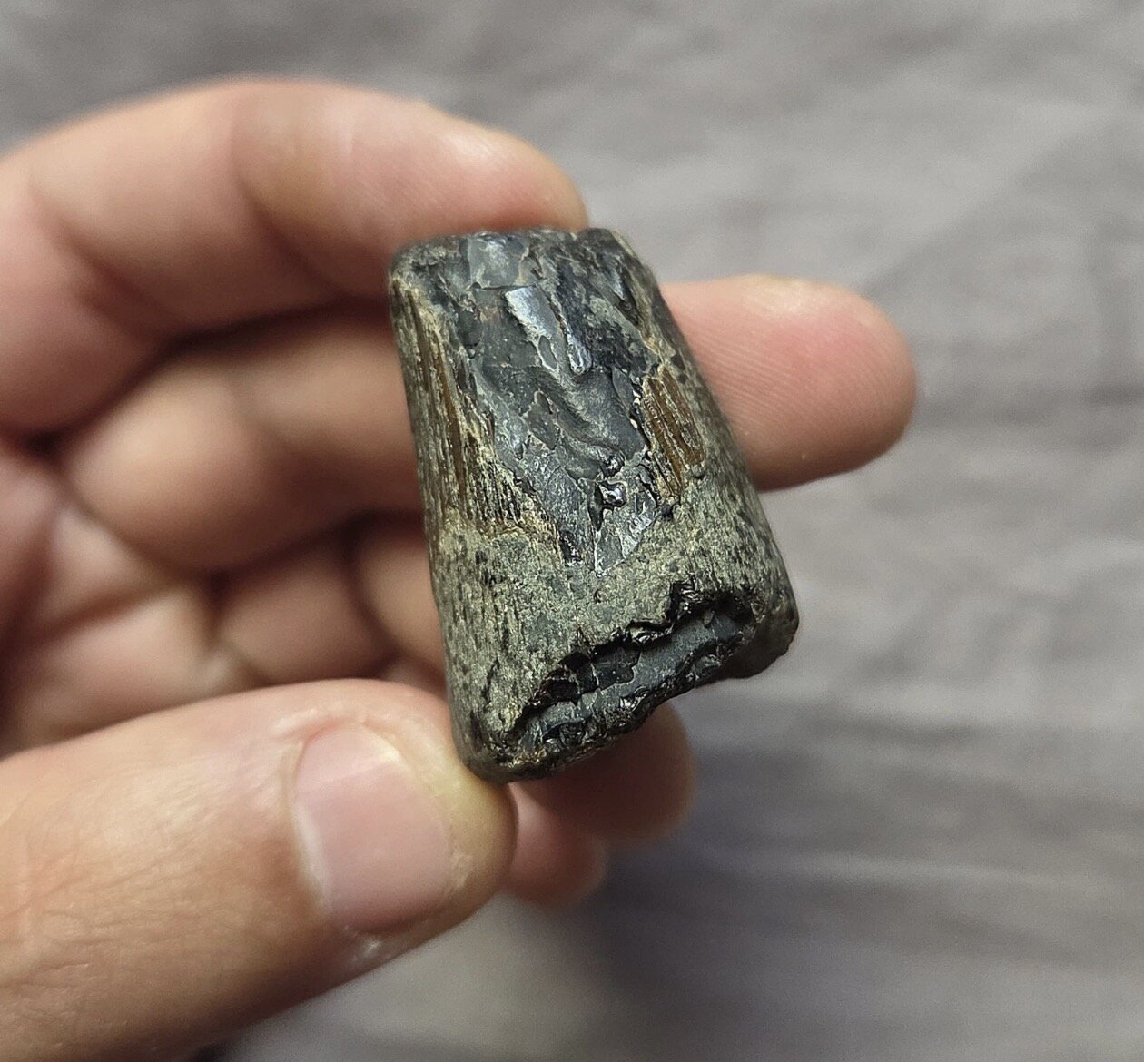 Liopleurodon tooth? Weymouth Bay, Dorset, UK - Fossil ID - The Fossil Forum