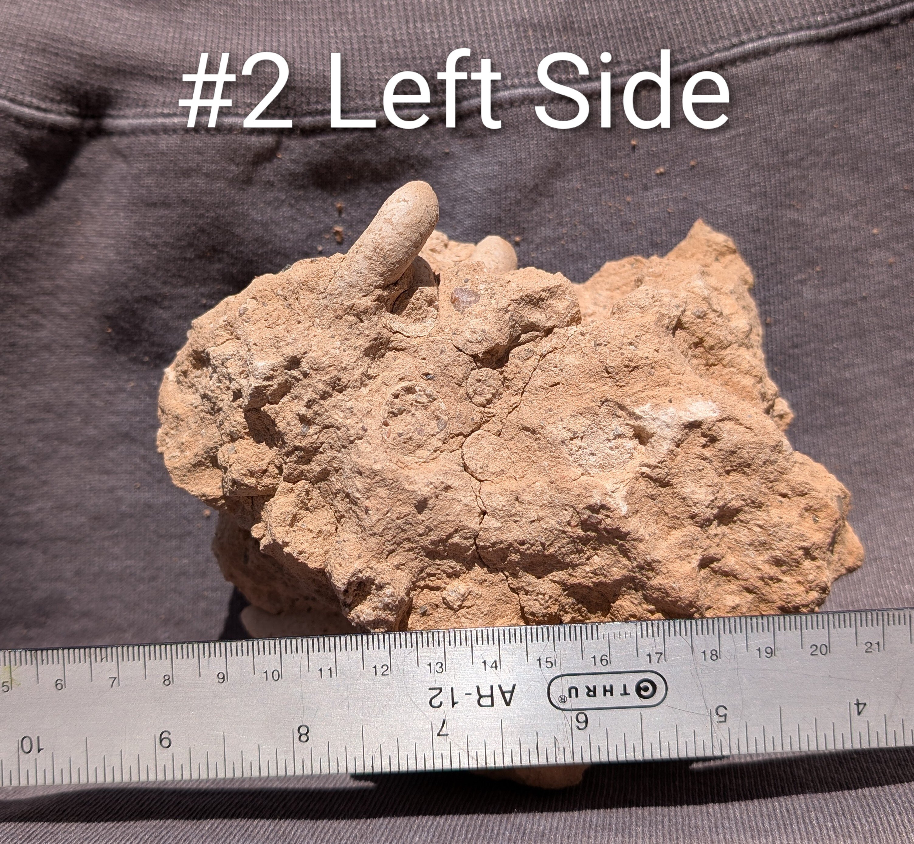 Possible fossilized invertebrate burrows? Found in Central Arizona ...