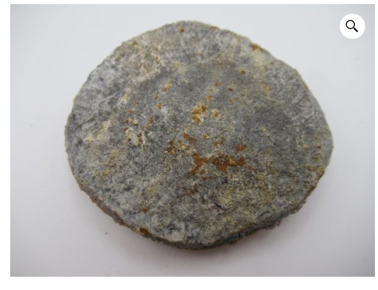 Disk shaped fossil from the Kem Kem - Fossil ID - The Fossil Forum