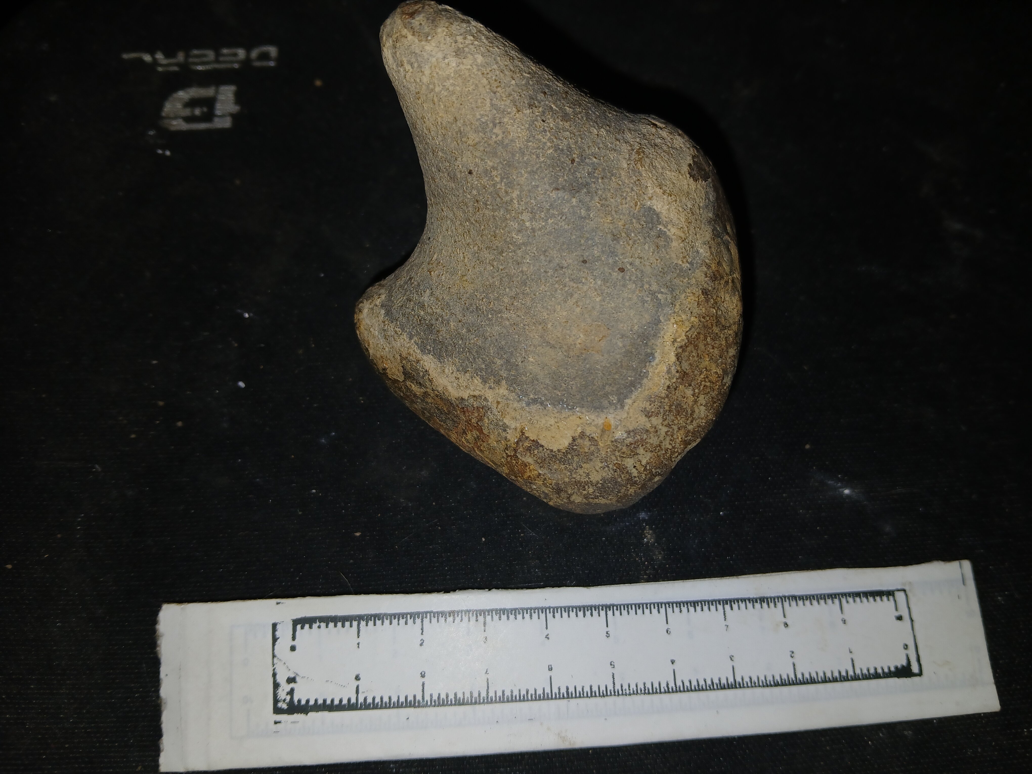 Pierre shale fossils - Fossil ID - The Fossil Forum