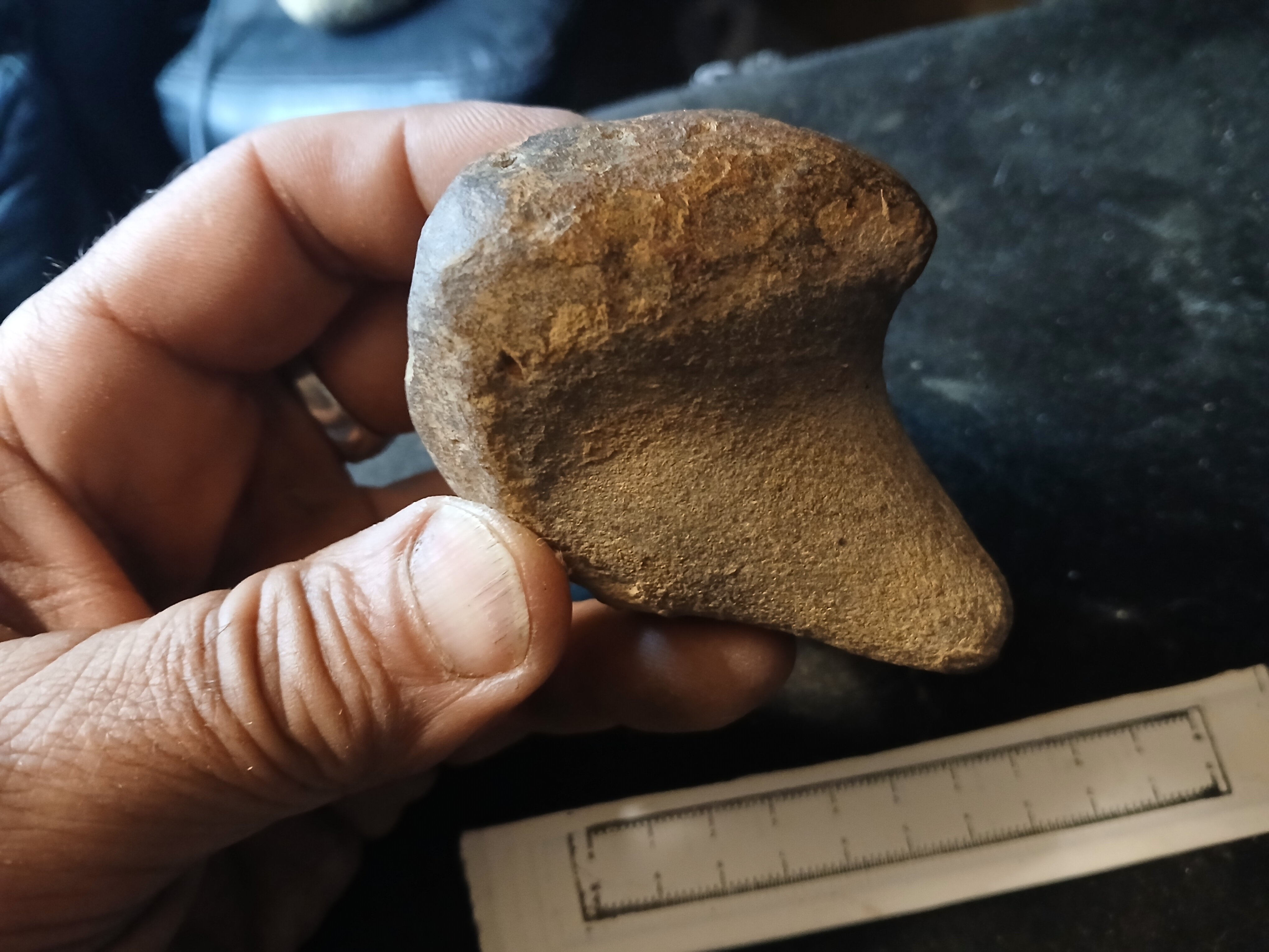 Pierre shale fossils - Fossil ID - The Fossil Forum