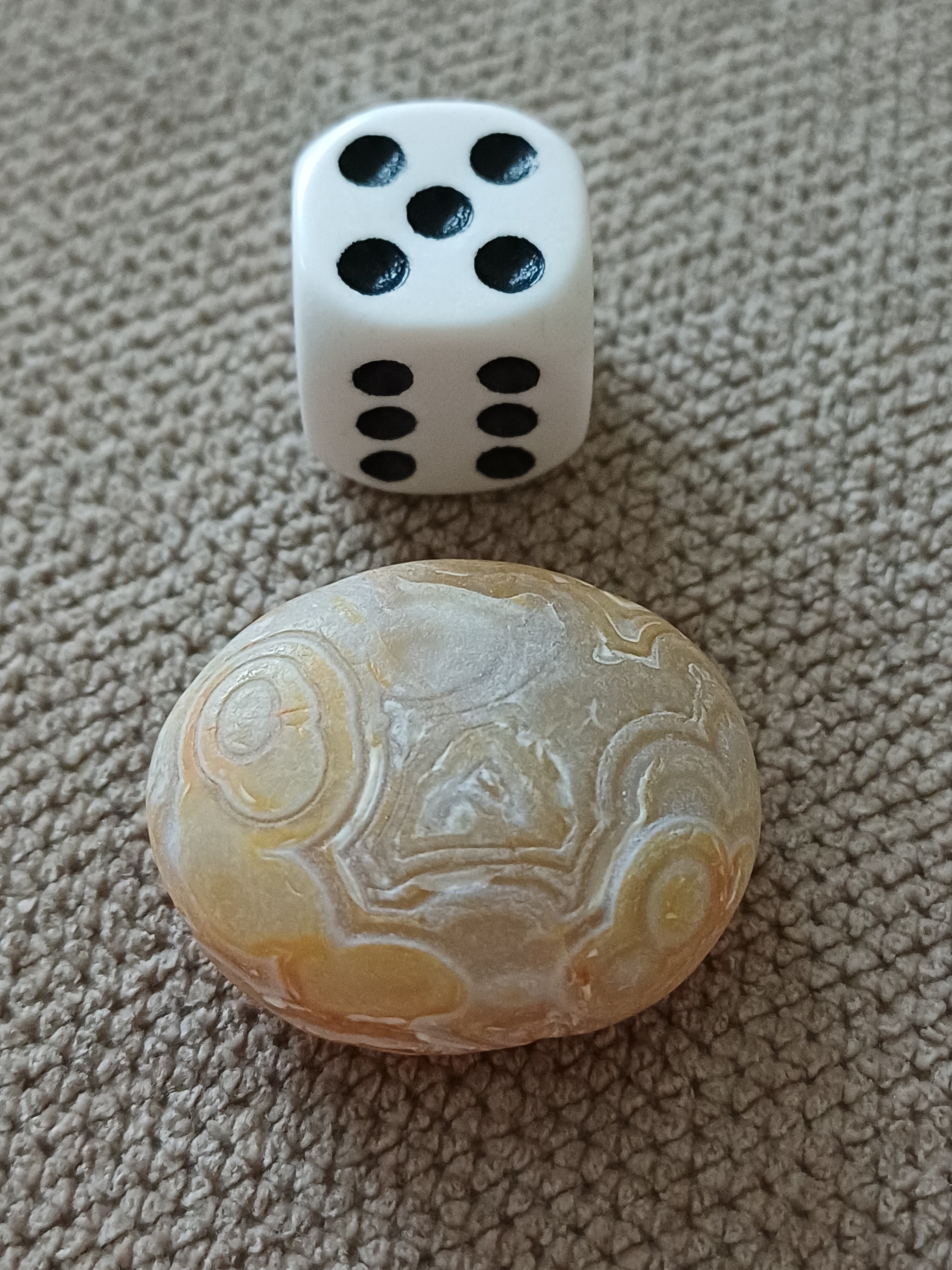 Stone found in suffolk is it a fossil? - Fossil ID - The Fossil Forum