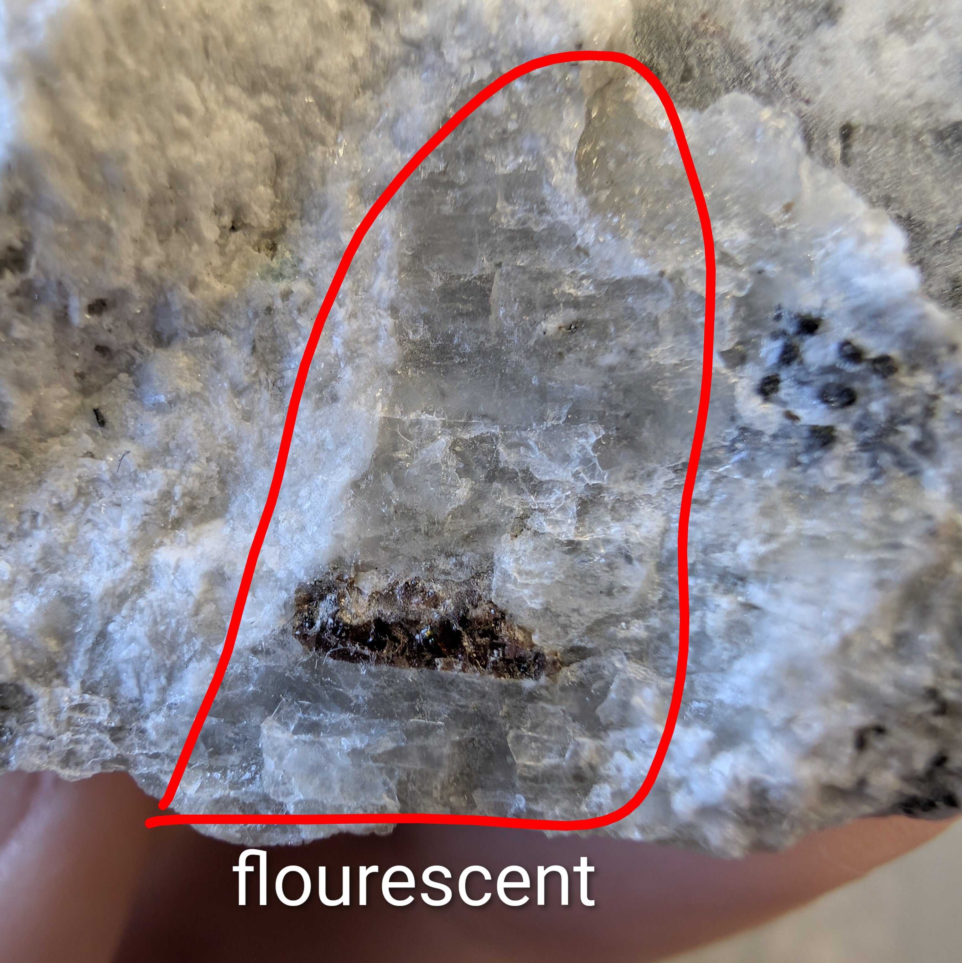 Name of Fluorescent Rock? Contains Garnets - Rocks & Minerals - The ...