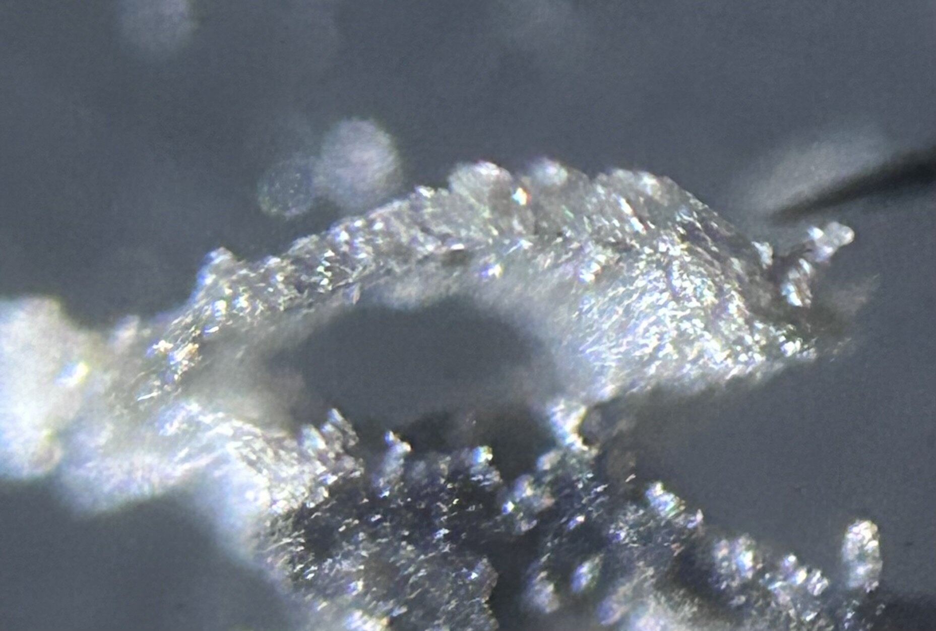 Ordovician microfossils-womble formation - Micro-paleontology - The ...