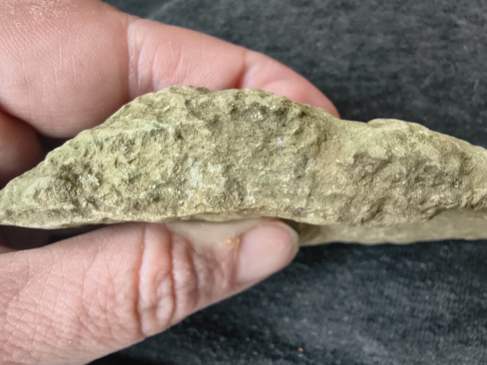 SRL155 - Ichnofossils (Trace Fossils) - The Fossil Forum
