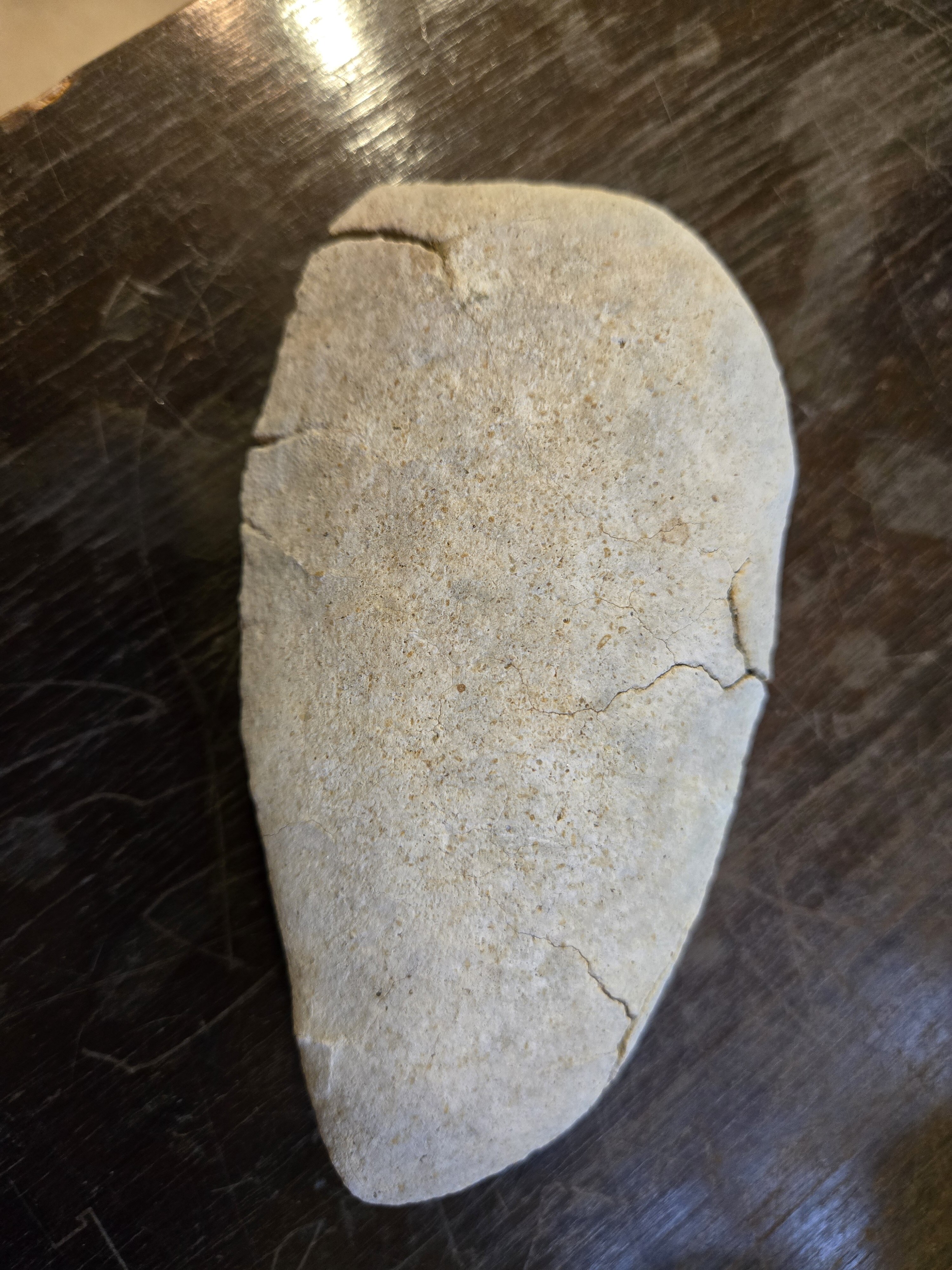 Fossilized egg? - Fossil ID - The Fossil Forum