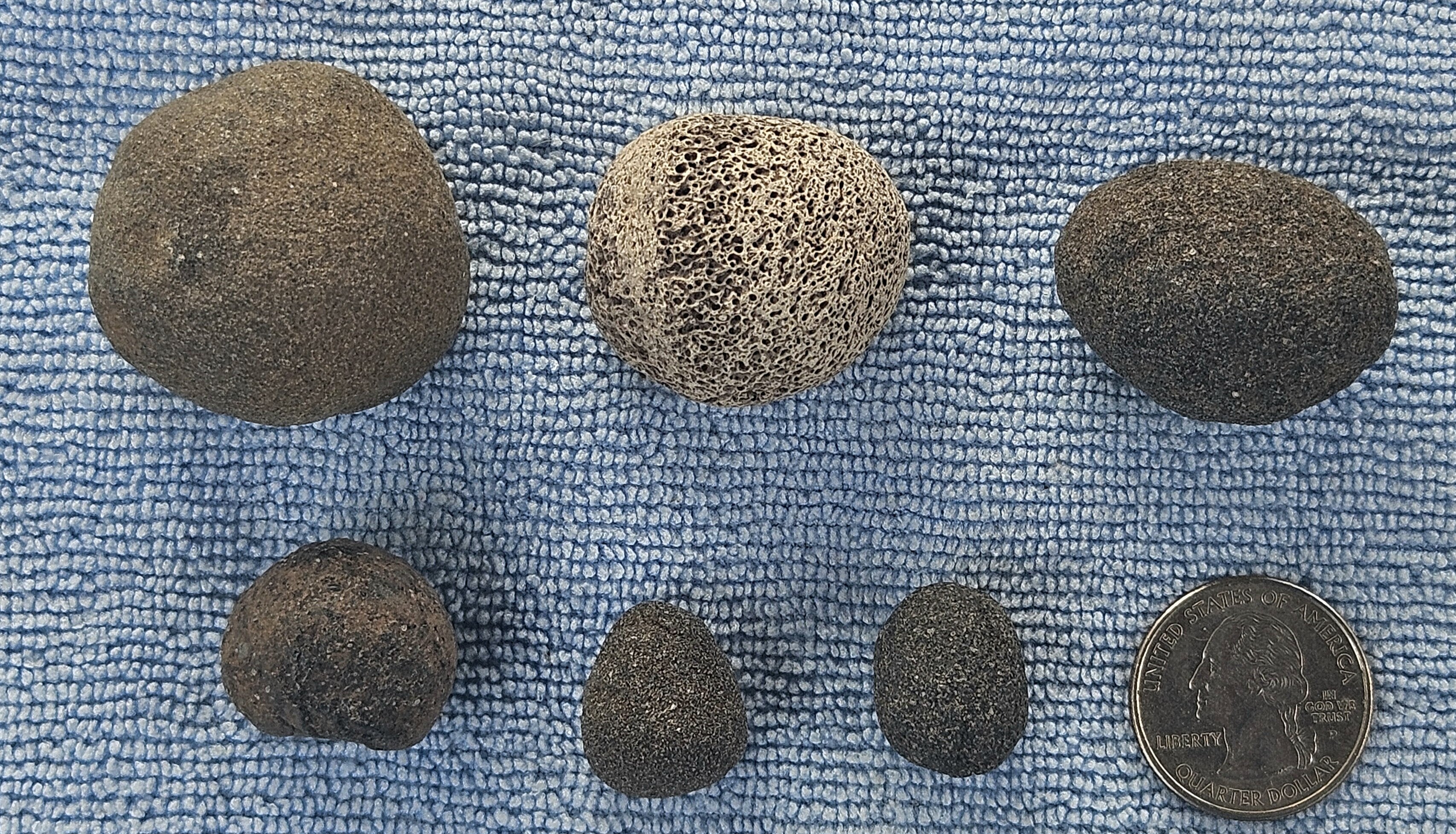 Gastroliths? - Fossil ID - The Fossil Forum