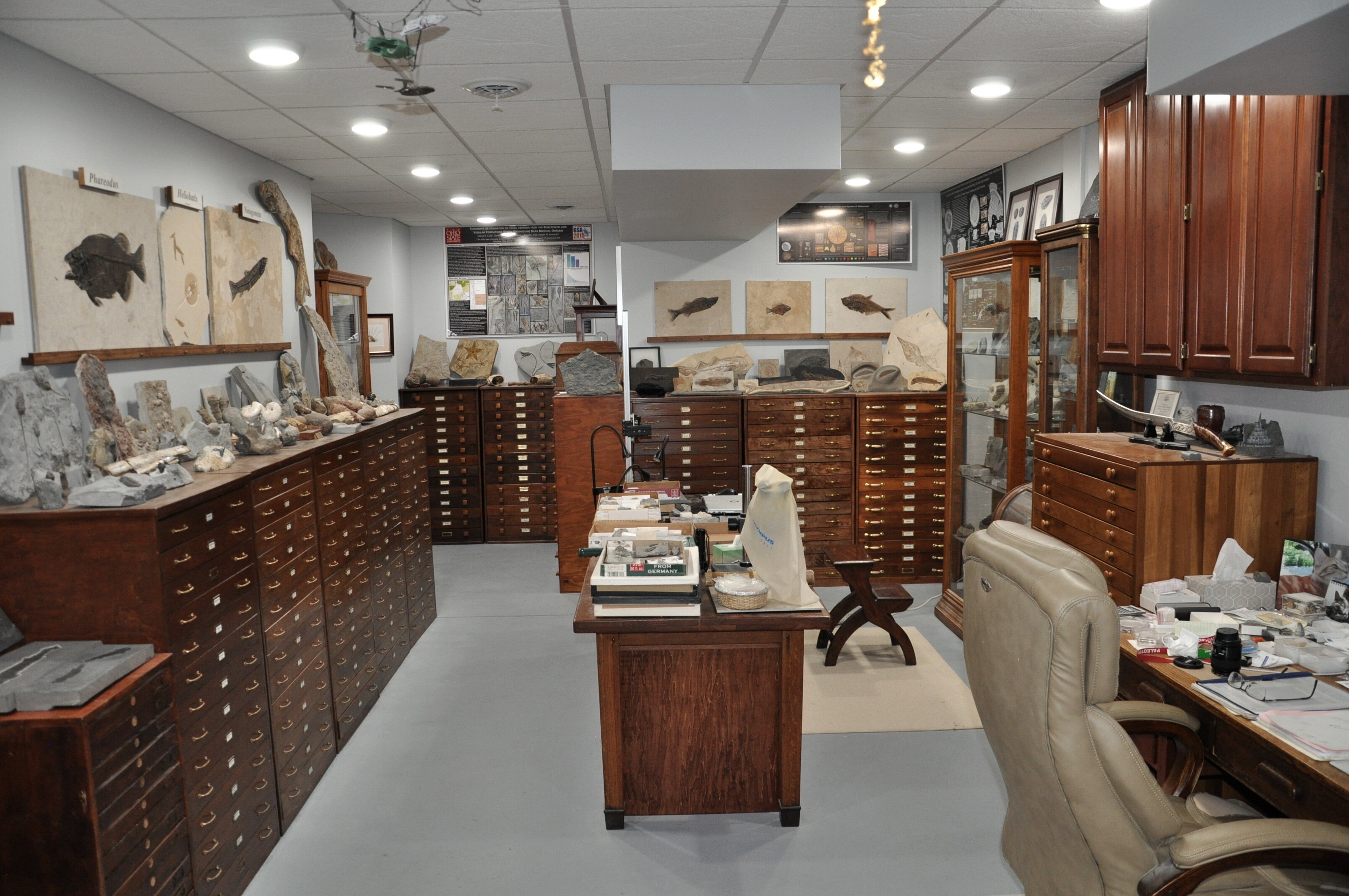 I need ideas for displaying my fossil collection - Questions & Answers ...