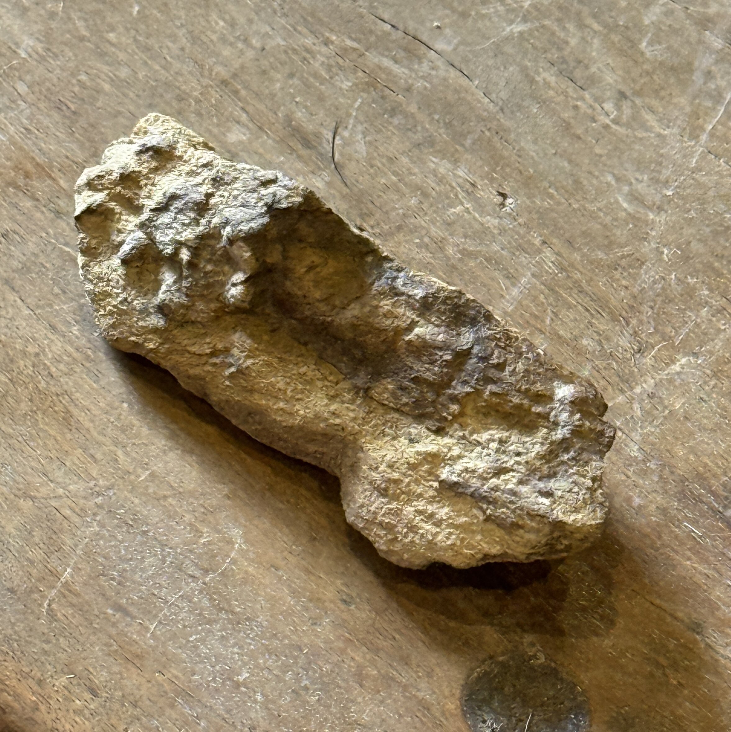 Is this fossilised remains or mineral deposits? - Fossil ID - The ...