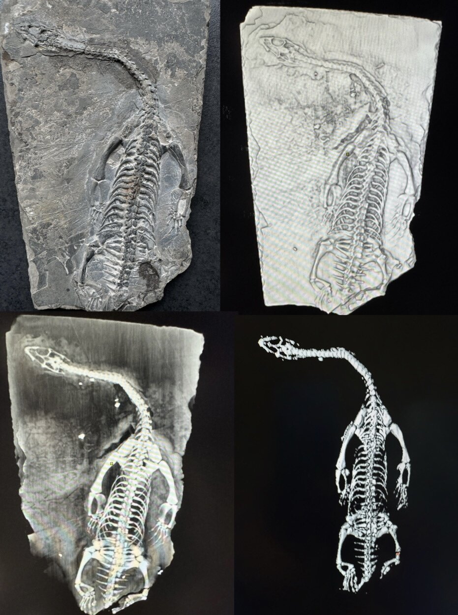 How CT scanning helps distinguish genuine, restored, and fake ...