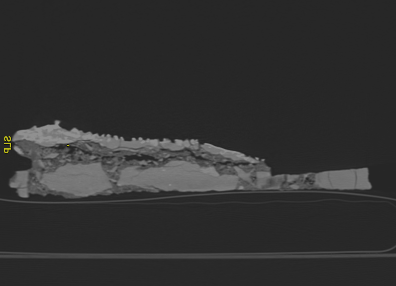 How CT scanning helps distinguish genuine, restored, and fake ...