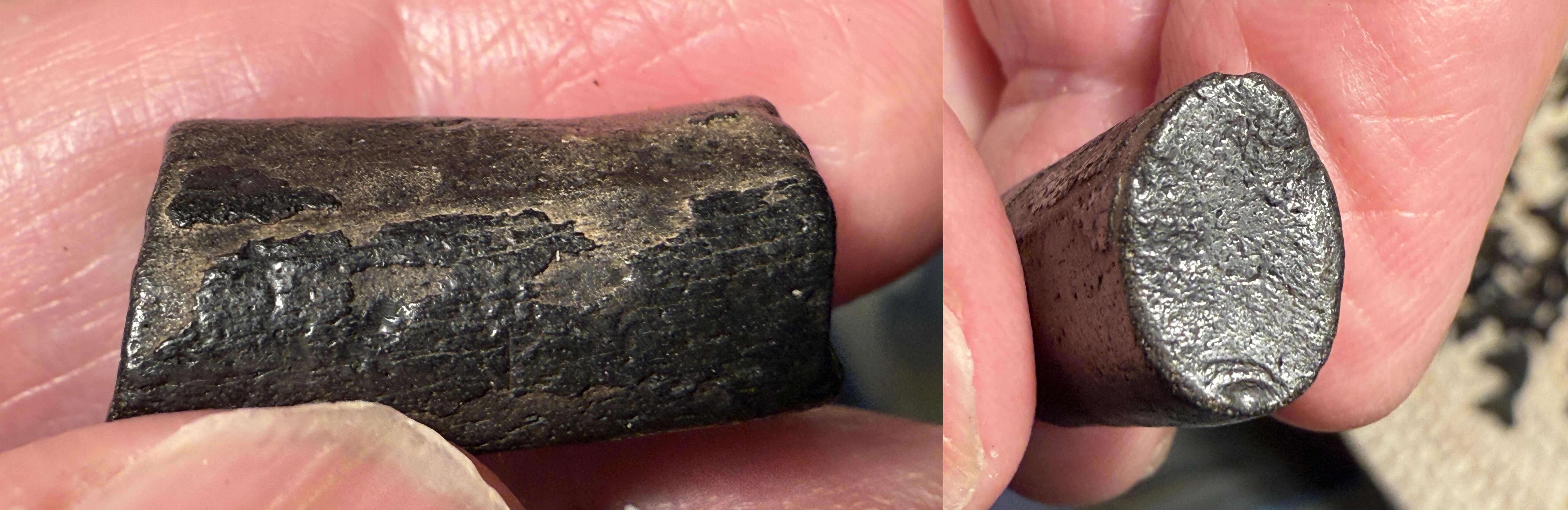 Large fossilized bone fragments - Fossil ID - The Fossil Forum