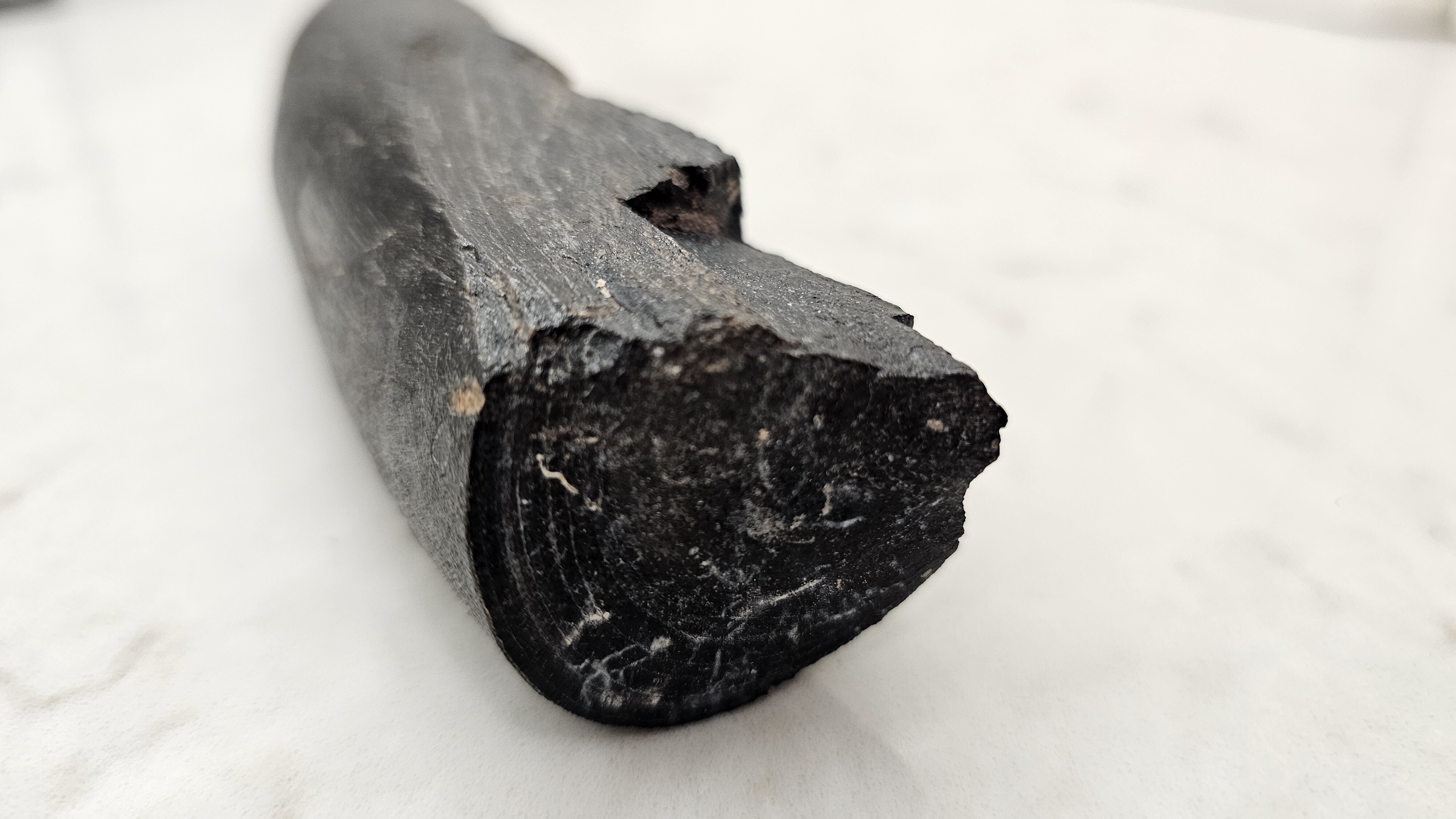 Fossil ID: Tusk, Petrified Wood or something else? - Fossil ID - The ...