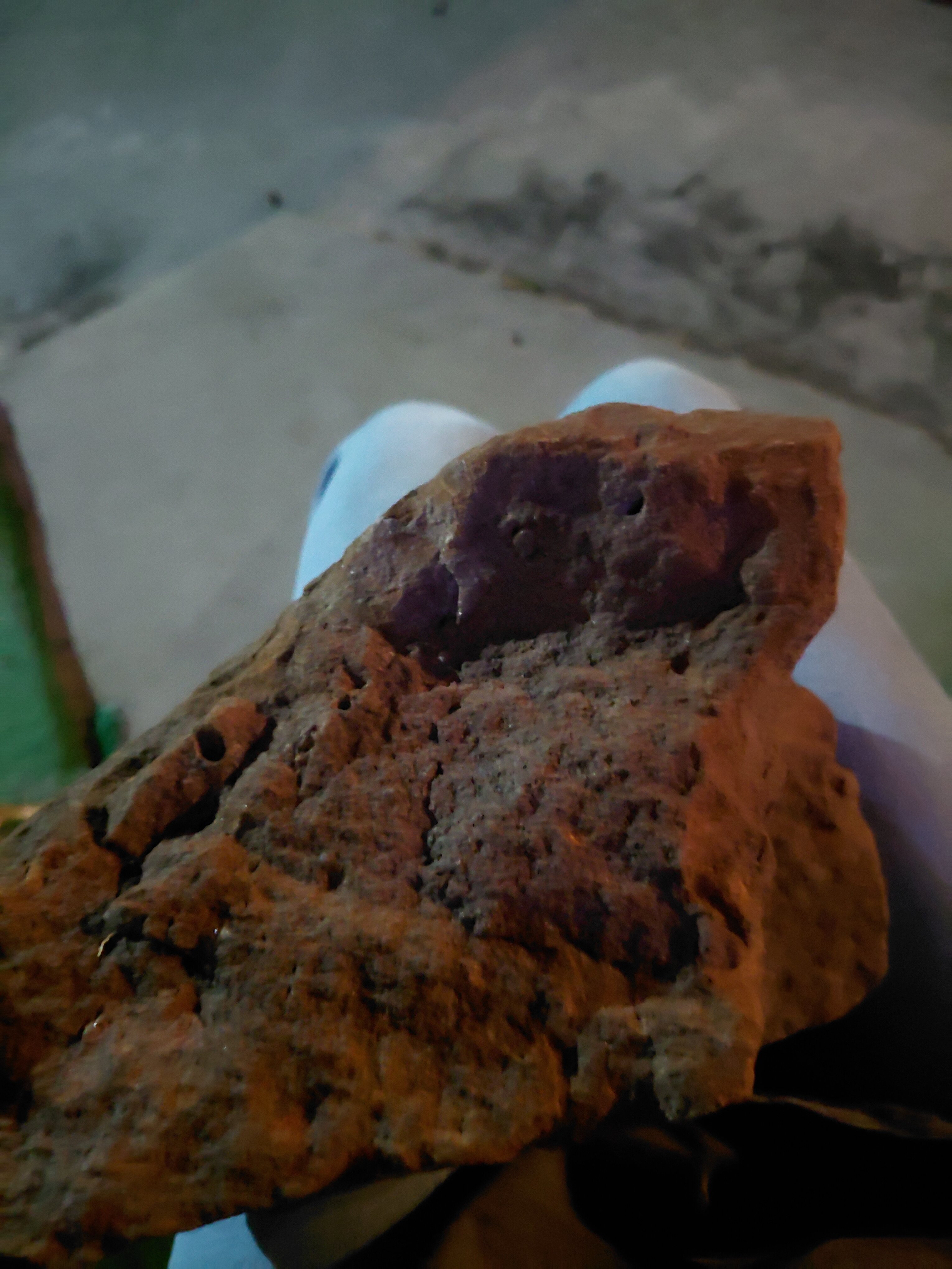 Fossil?, Rock?,sandstone? - Fossil ID - The Fossil Forum
