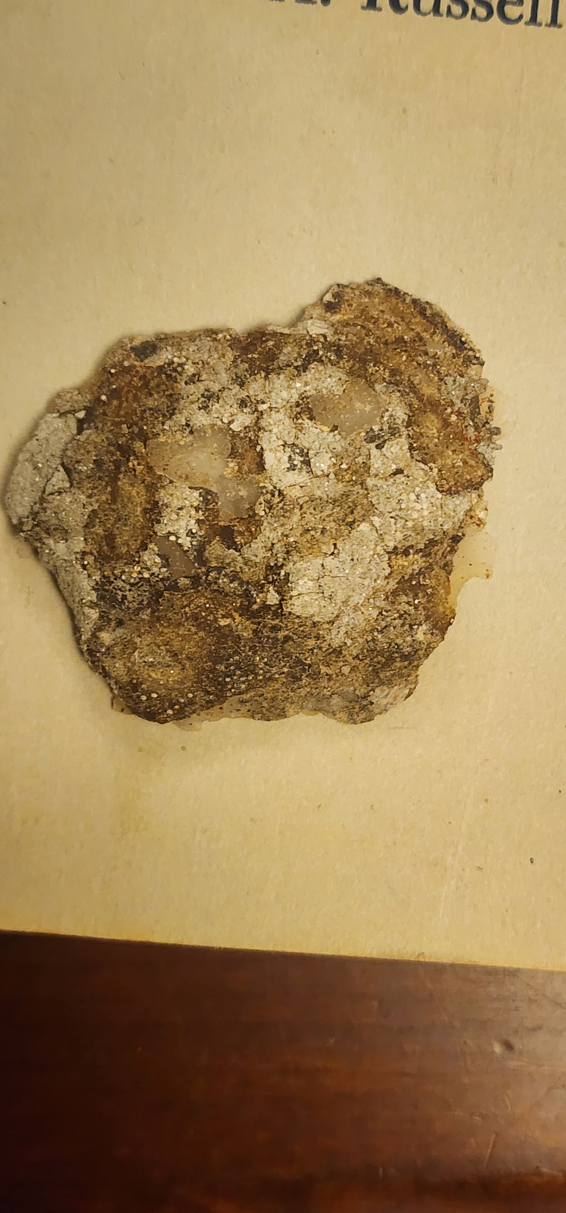 Cretaceous Ripley Formation - Member Collections - The Fossil Forum