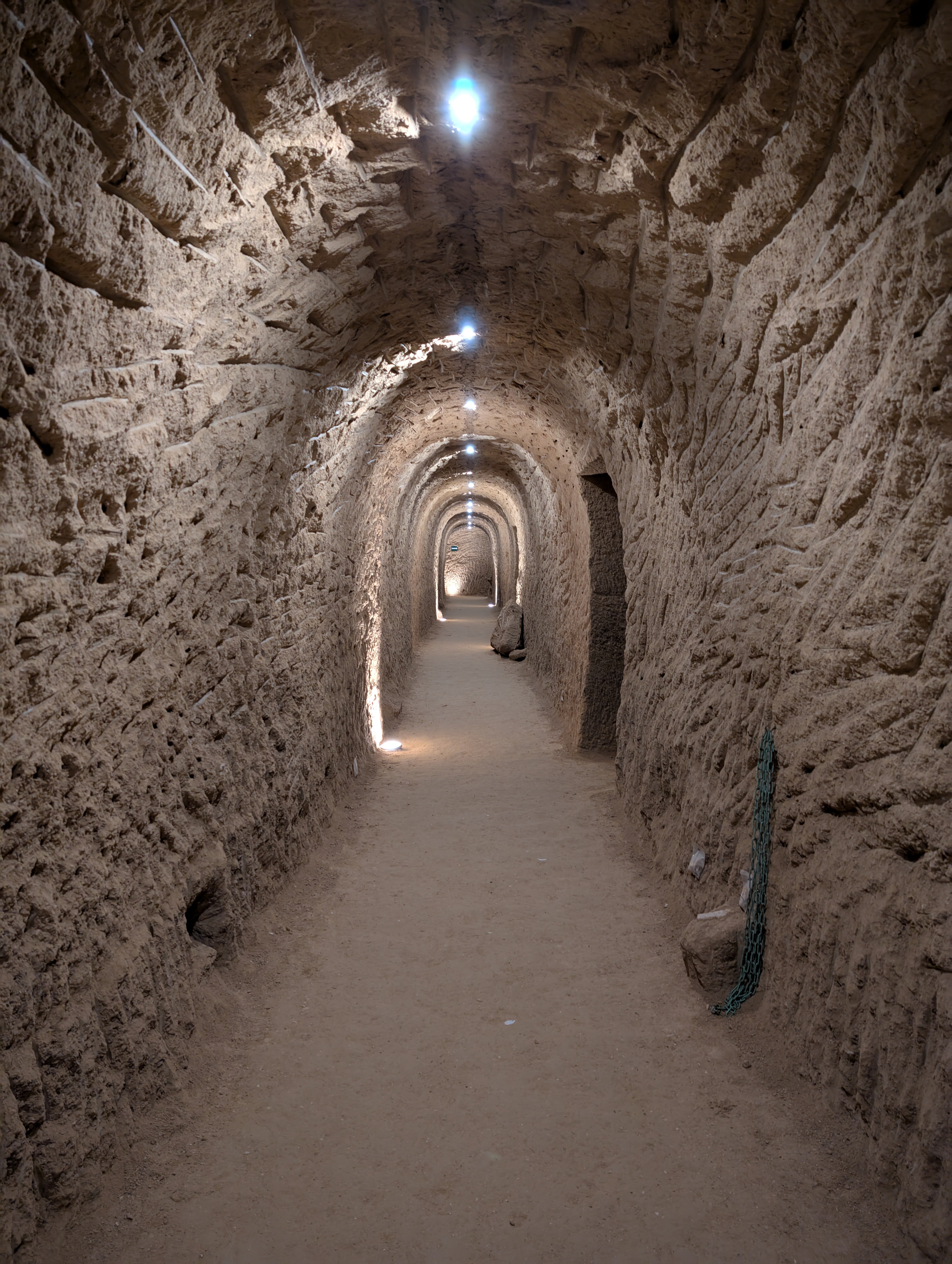 The shell cave from the french Lutetian - A Trip to the Museum - The ...