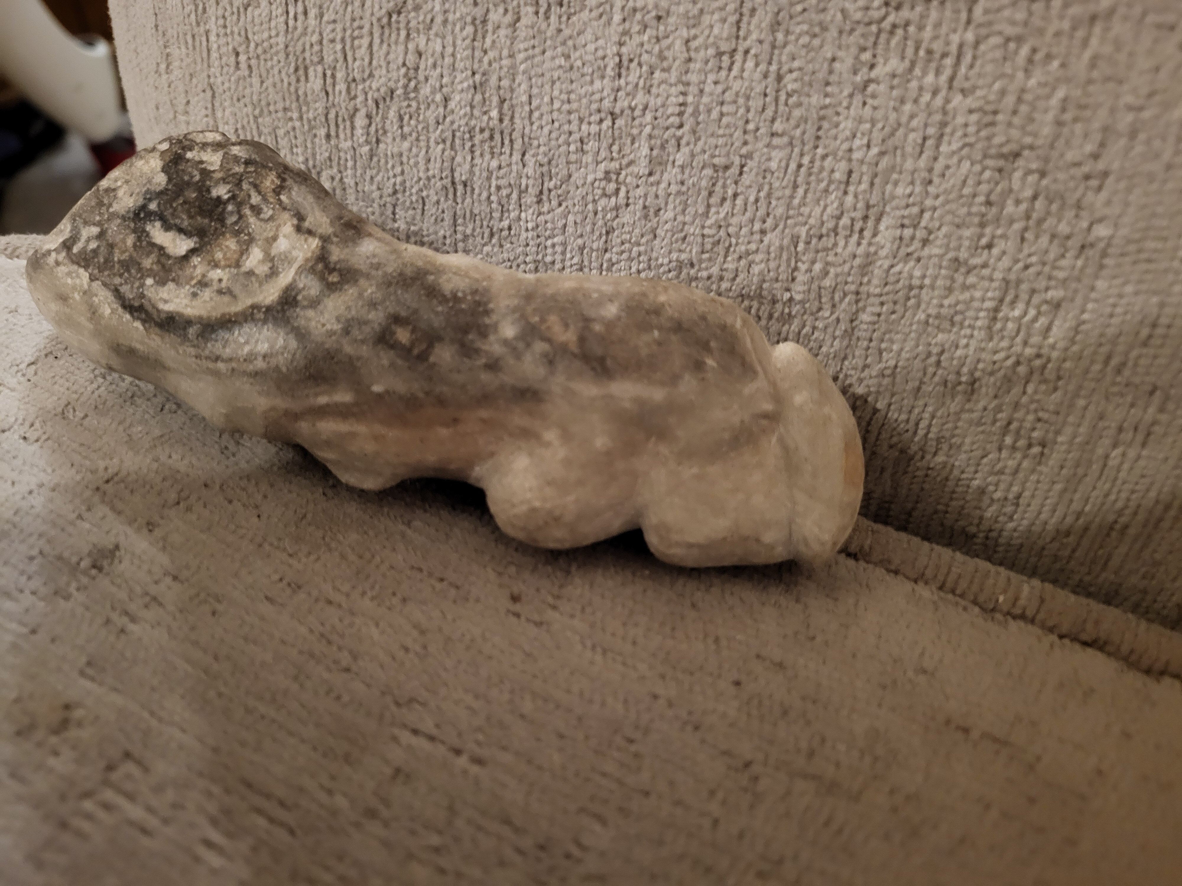 Found on Formby Beach - Liverpool - Fossil ID - The Fossil Forum