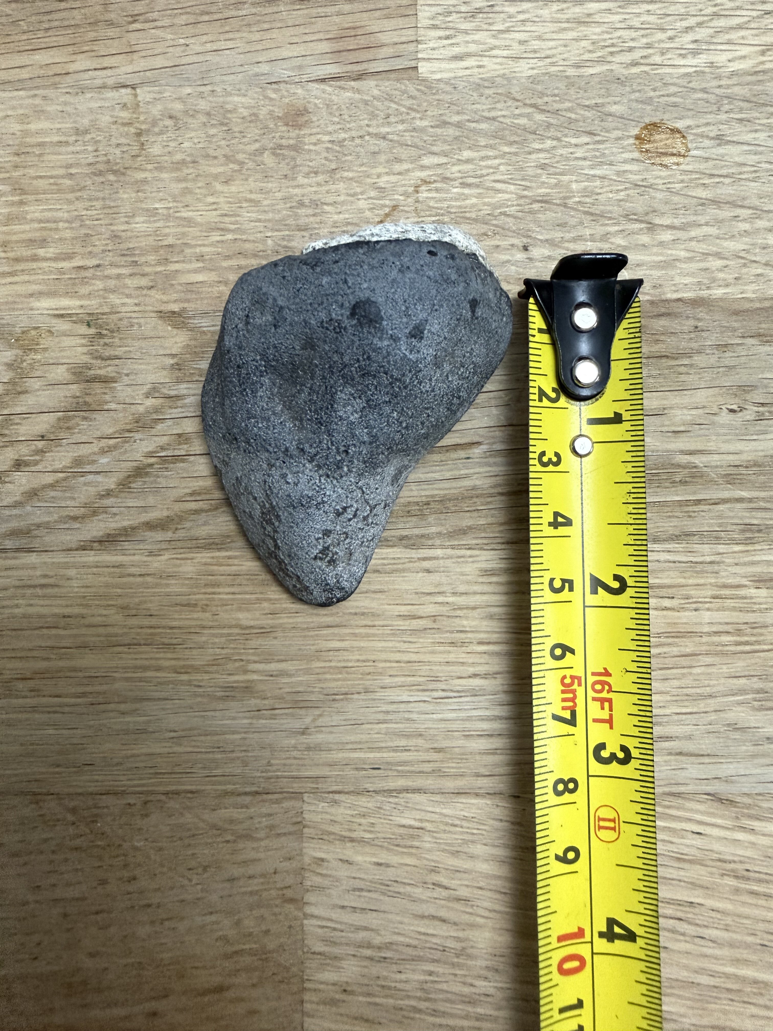 Stone or tooth or something else? - Fossil ID - The Fossil Forum