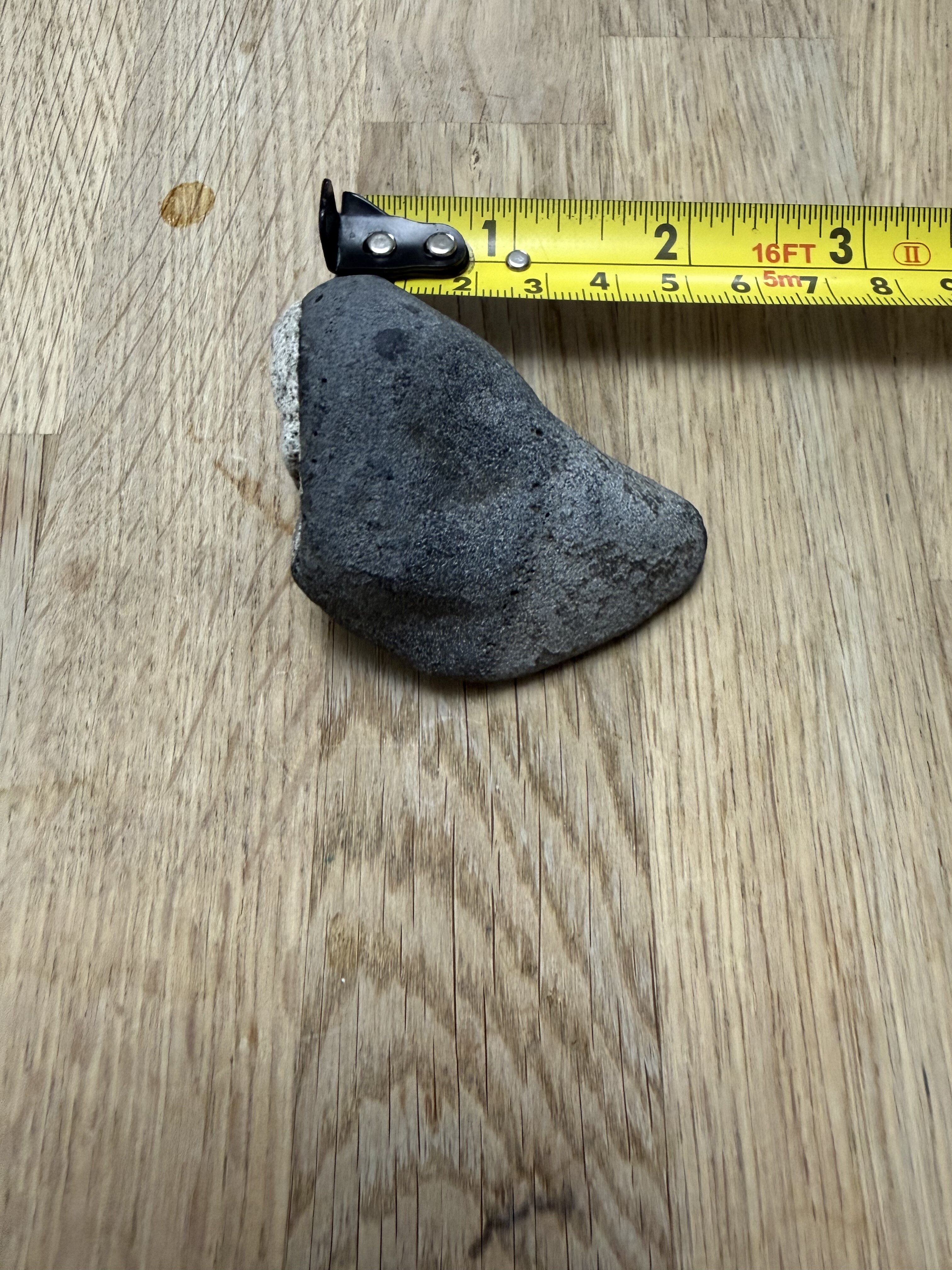 Stone or tooth or something else? - Fossil ID - The Fossil Forum