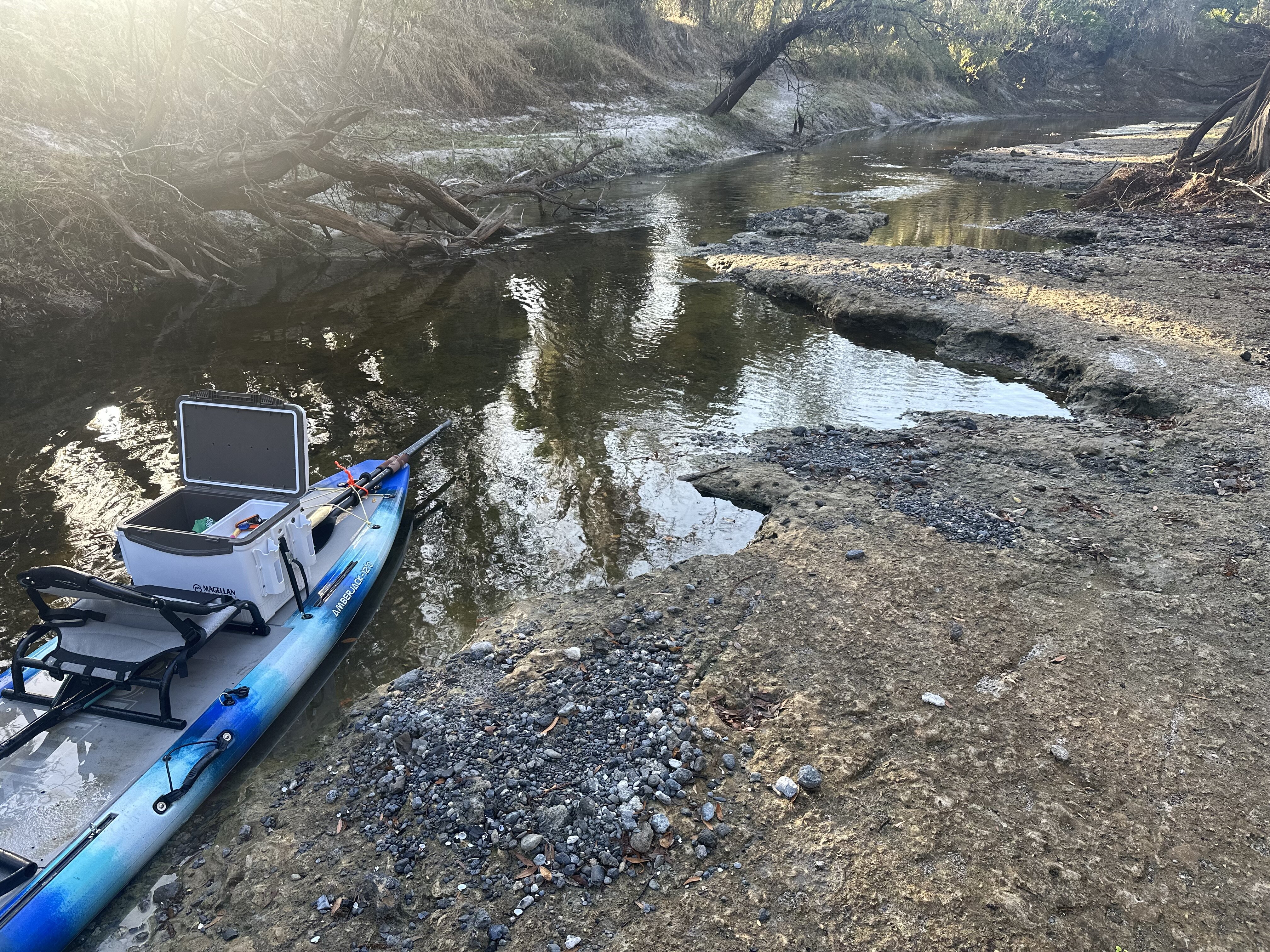 Peace River explorations - Fossil Hunting Trips - The Fossil Forum