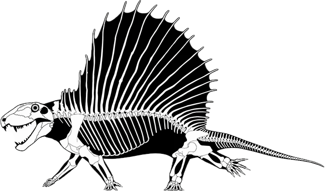 Is this composite Dimetrodon leg real? - Is It Real? How to Recognize ...