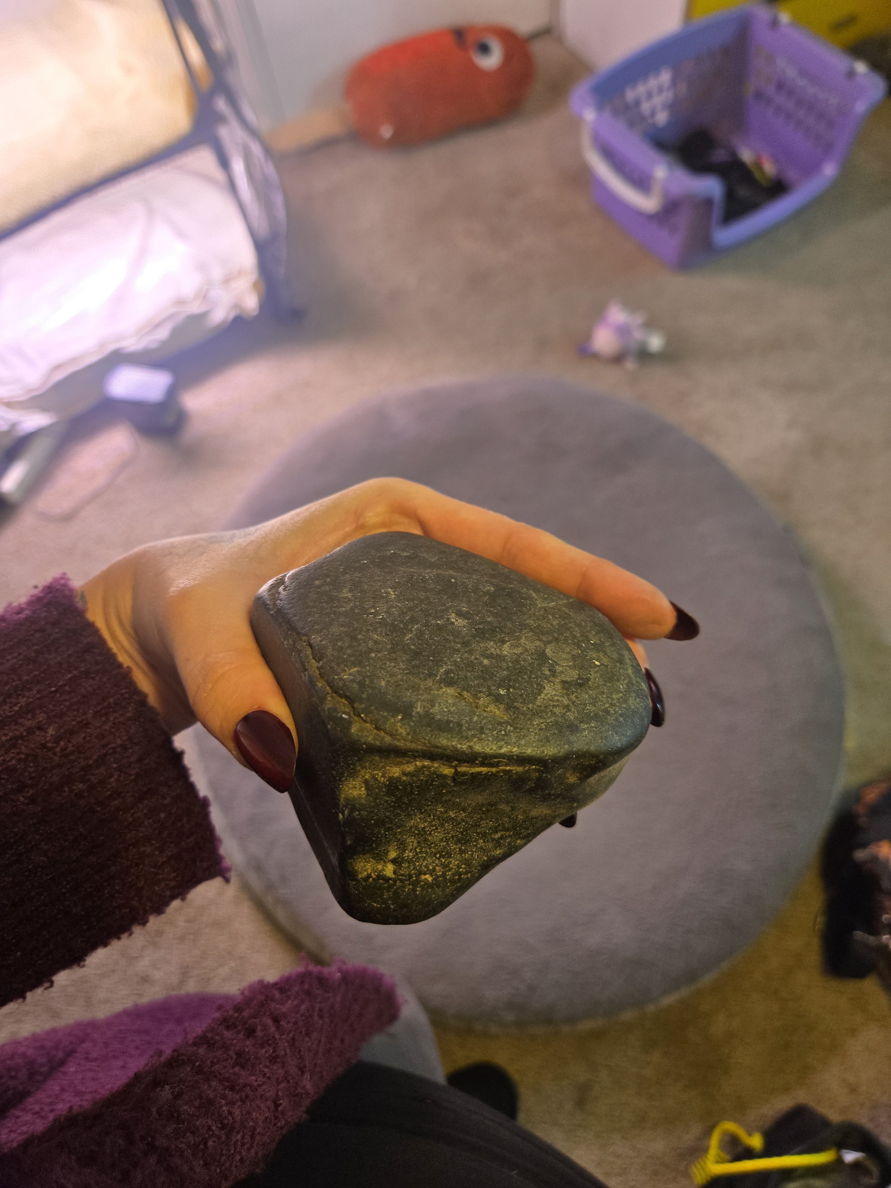 Found in river in Alaska - Fossil ID - The Fossil Forum