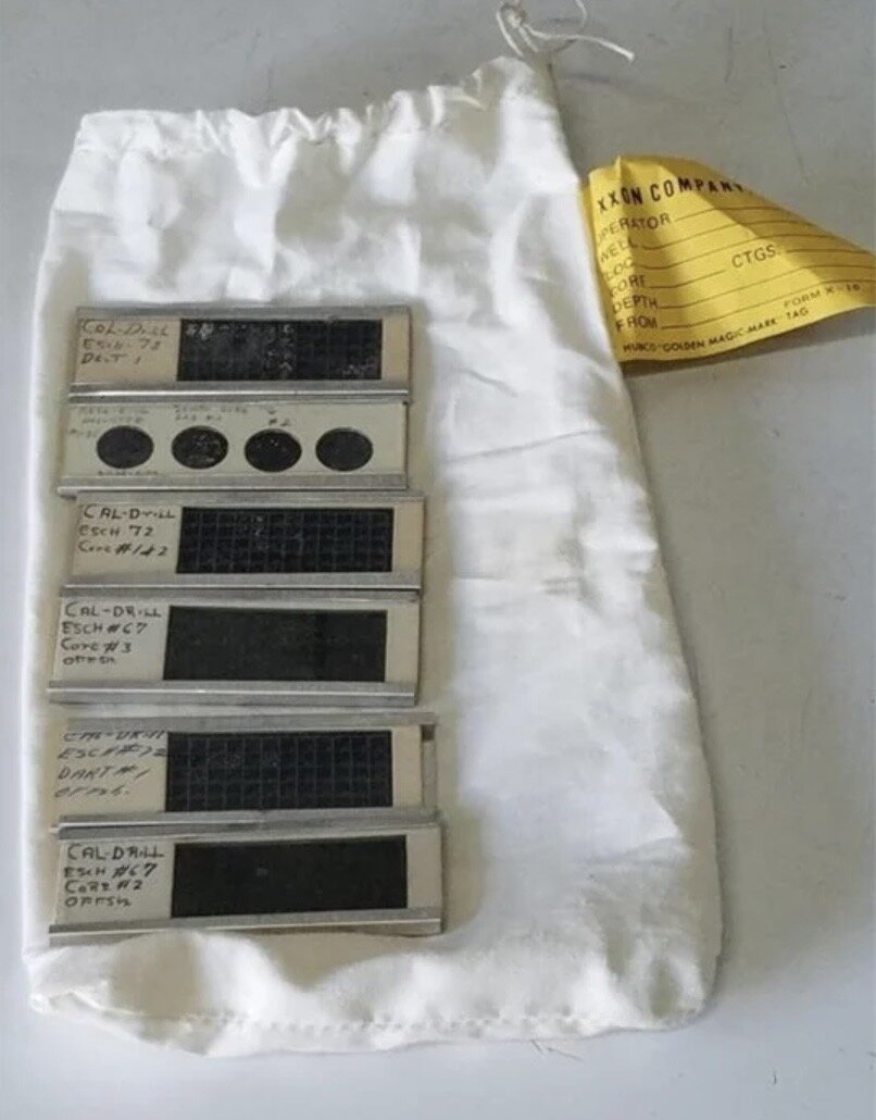Petroleum Microfossil Slides - Micro-paleontology - The Fossil Forum