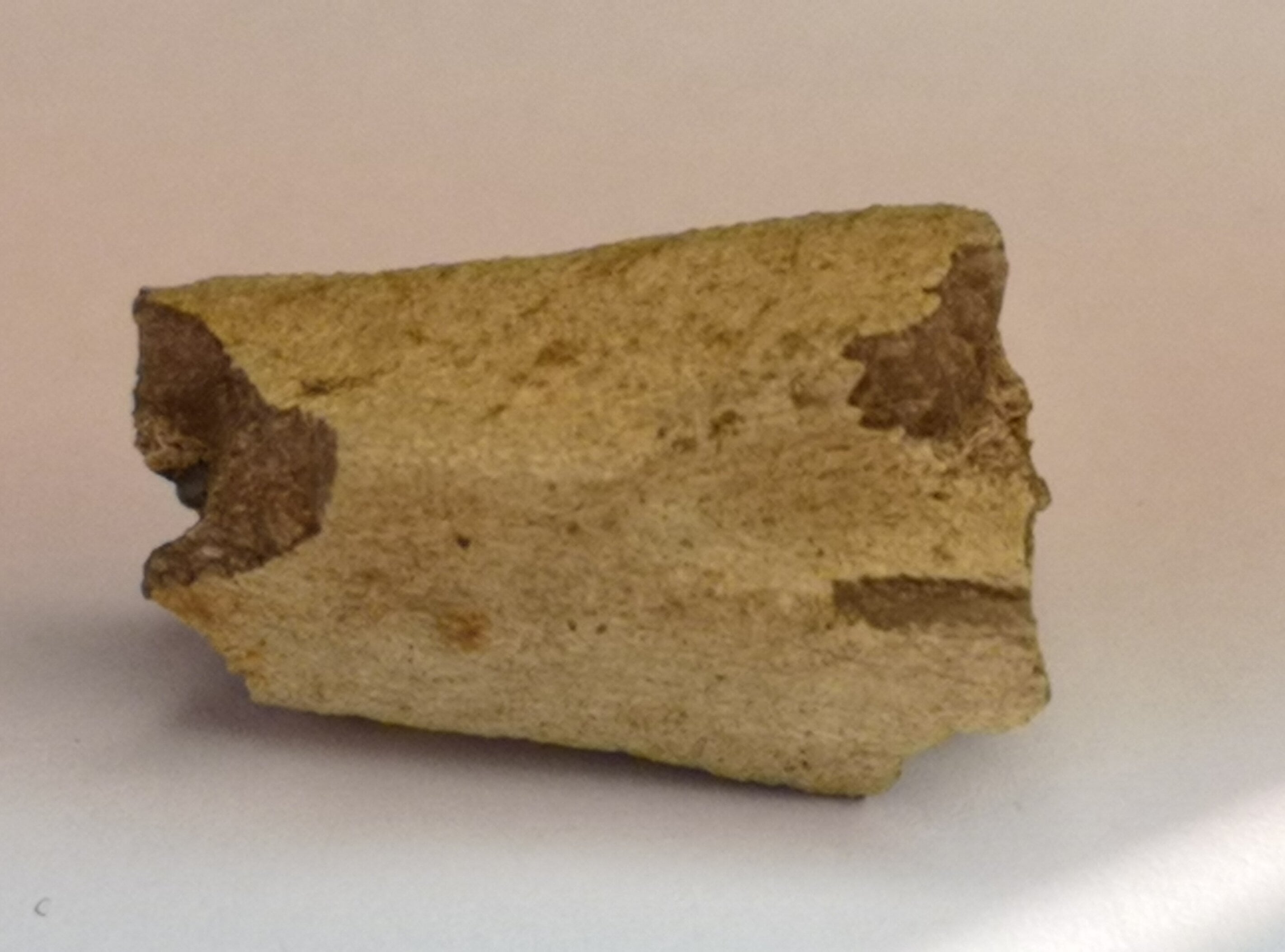 Fossil ID of Vertebra? and teeth from Hell Creek - Fossil ID - The ...
